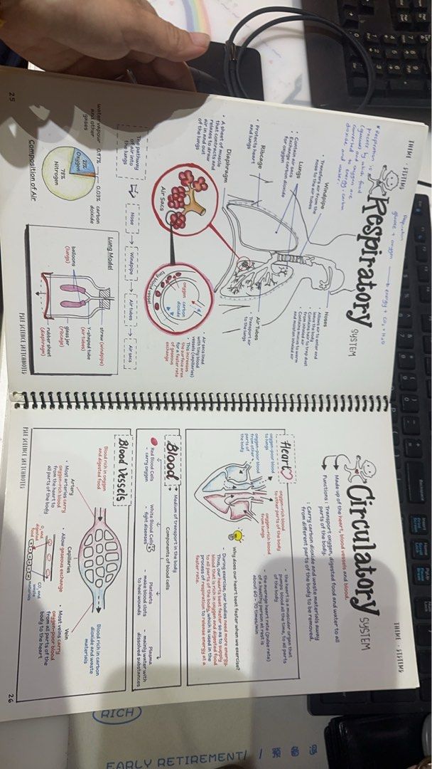 PSLE Science Sketchnotes by Tan Kia Yin (Alice), Hobbies & Toys, Books ...
