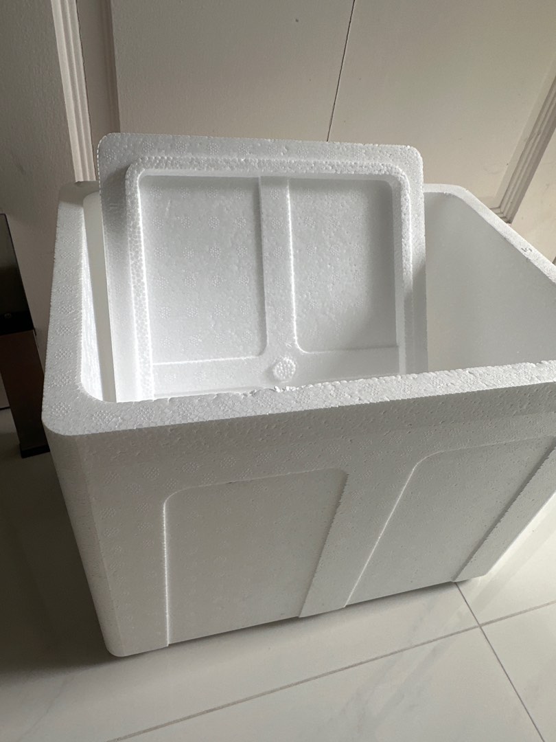 Styrofoam Cooler Box with Lid, Furniture & Home Living, Kitchenware ...