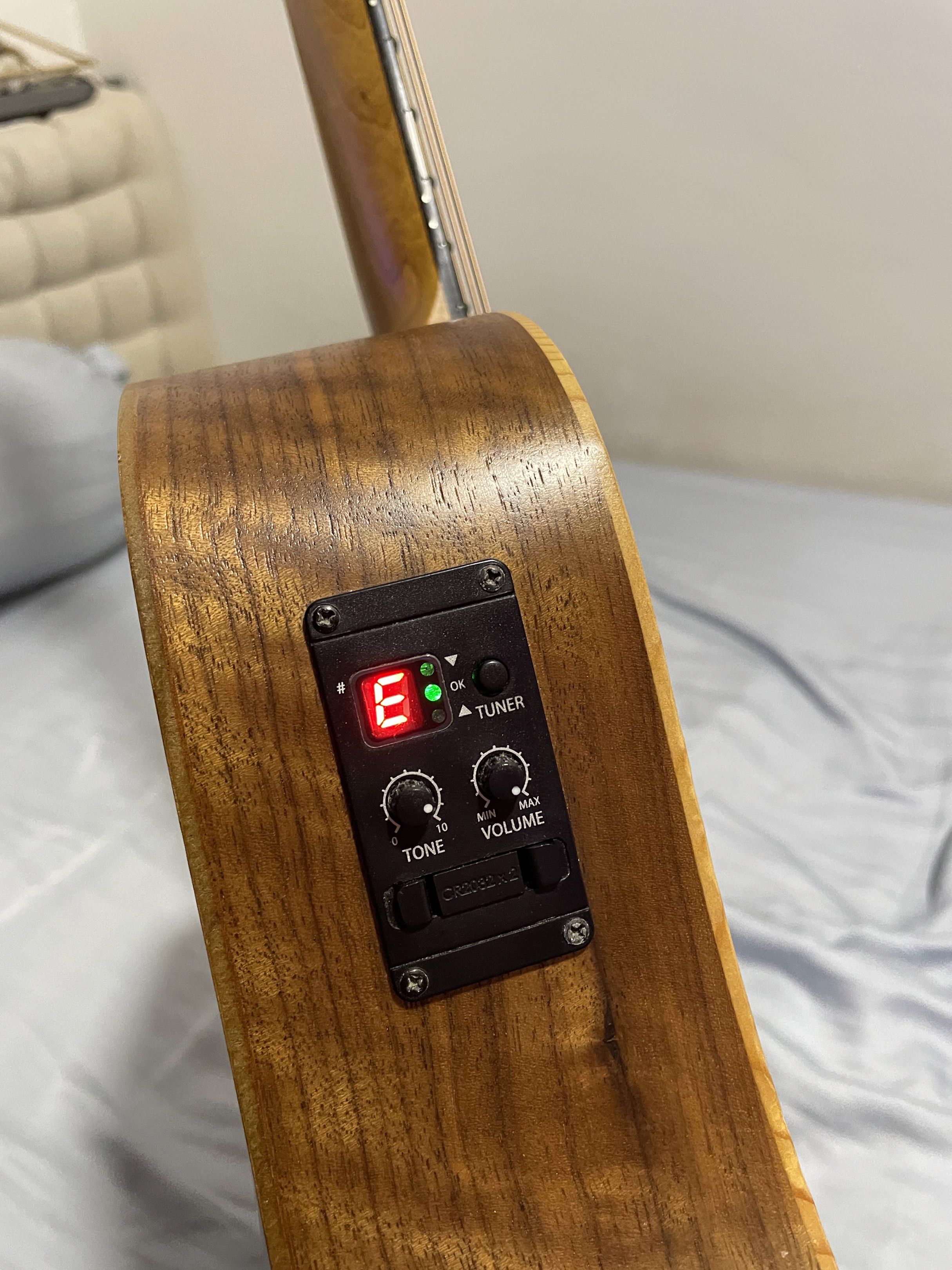 Baby Taylor E-Acoustic Guitar, Hobbies & Toys, Musical Instruments on ...