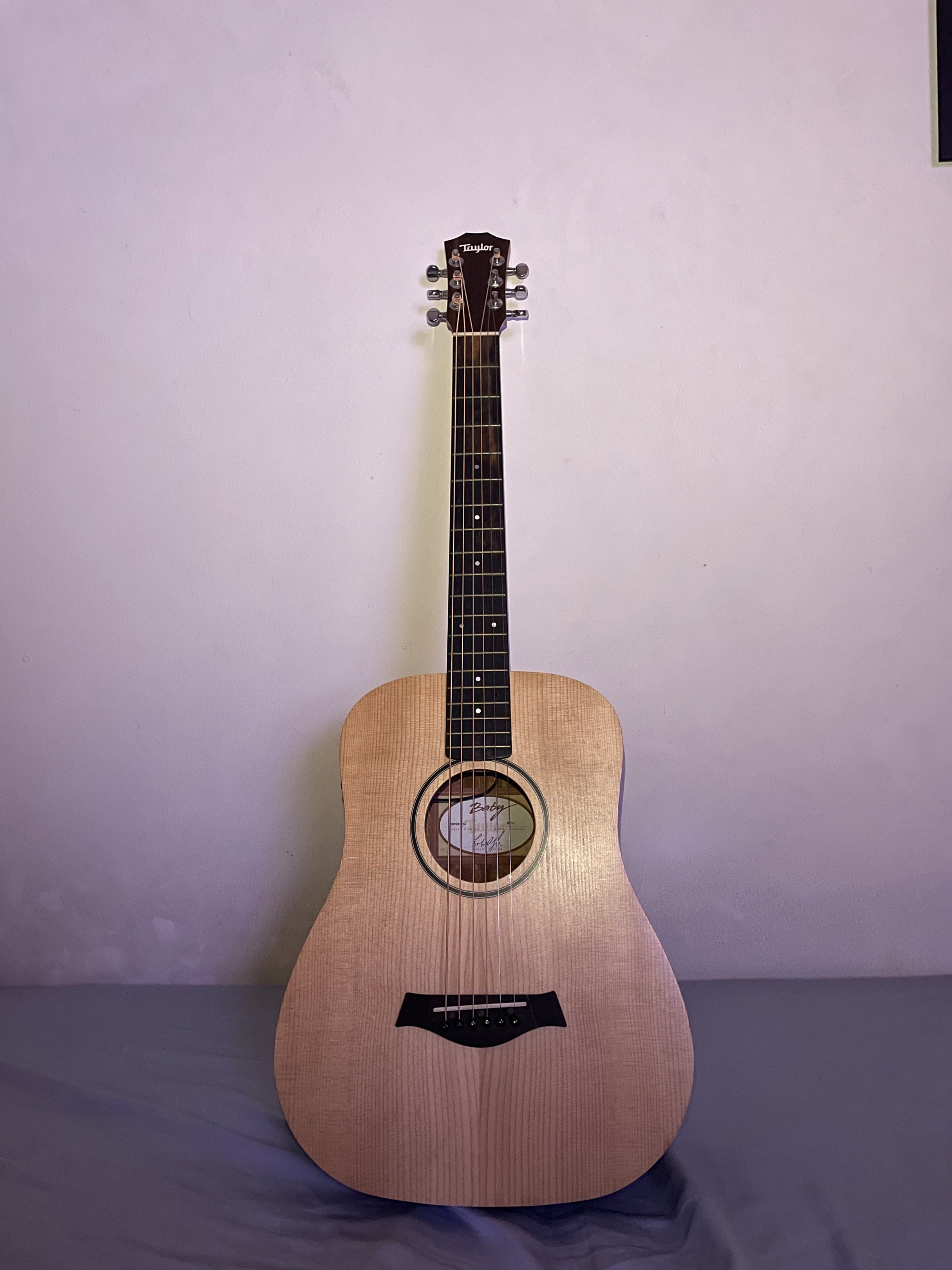 Baby Taylor E-Acoustic Guitar, Hobbies & Toys, Musical Instruments on ...