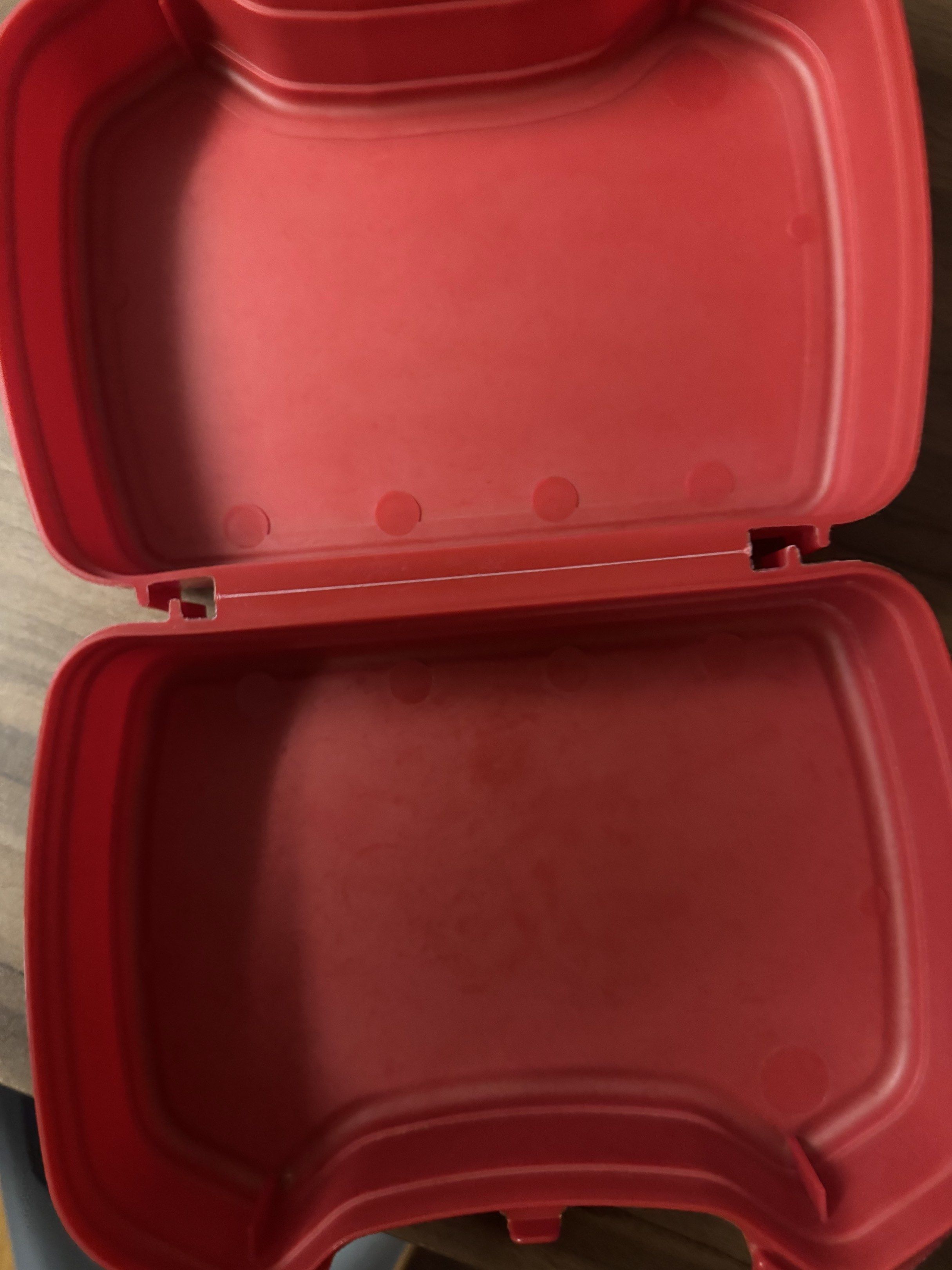 Universal Studios Singapore Woody Woodpecker Lunchbox, Furniture & Home ...