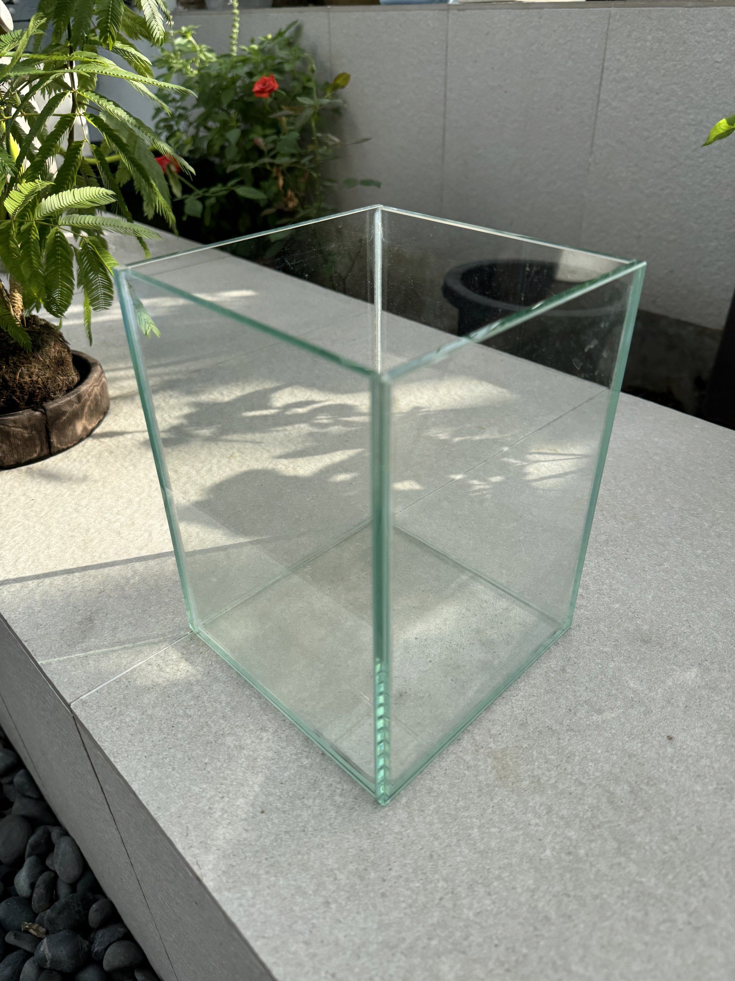 15 by 15 by 20cm Betta / Shrimp Tank, Pet Supplies, Homes & Other Pet ...