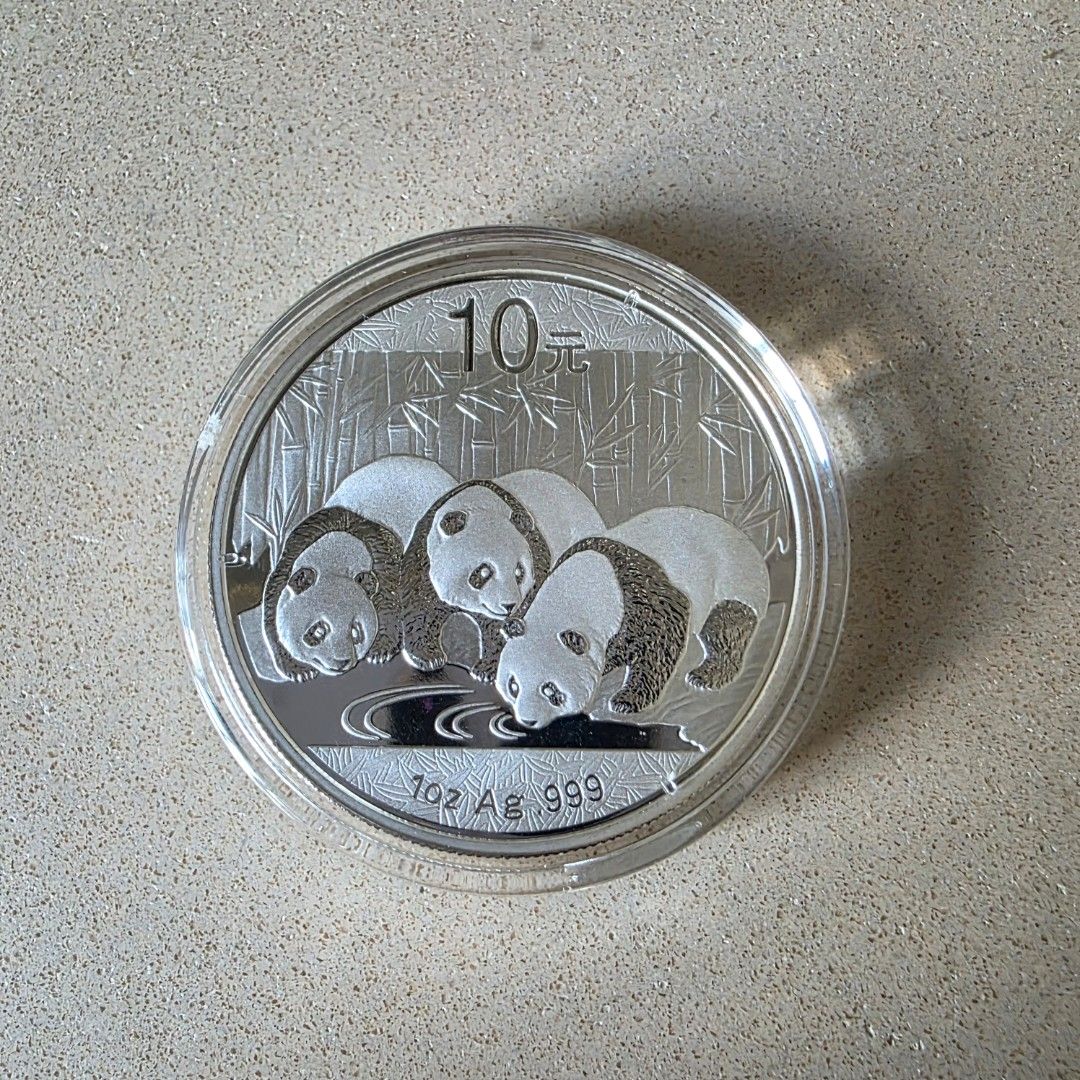 2013 Chinese Panda 1 oz Silver Coin, Hobbies & Toys, Memorabilia ...