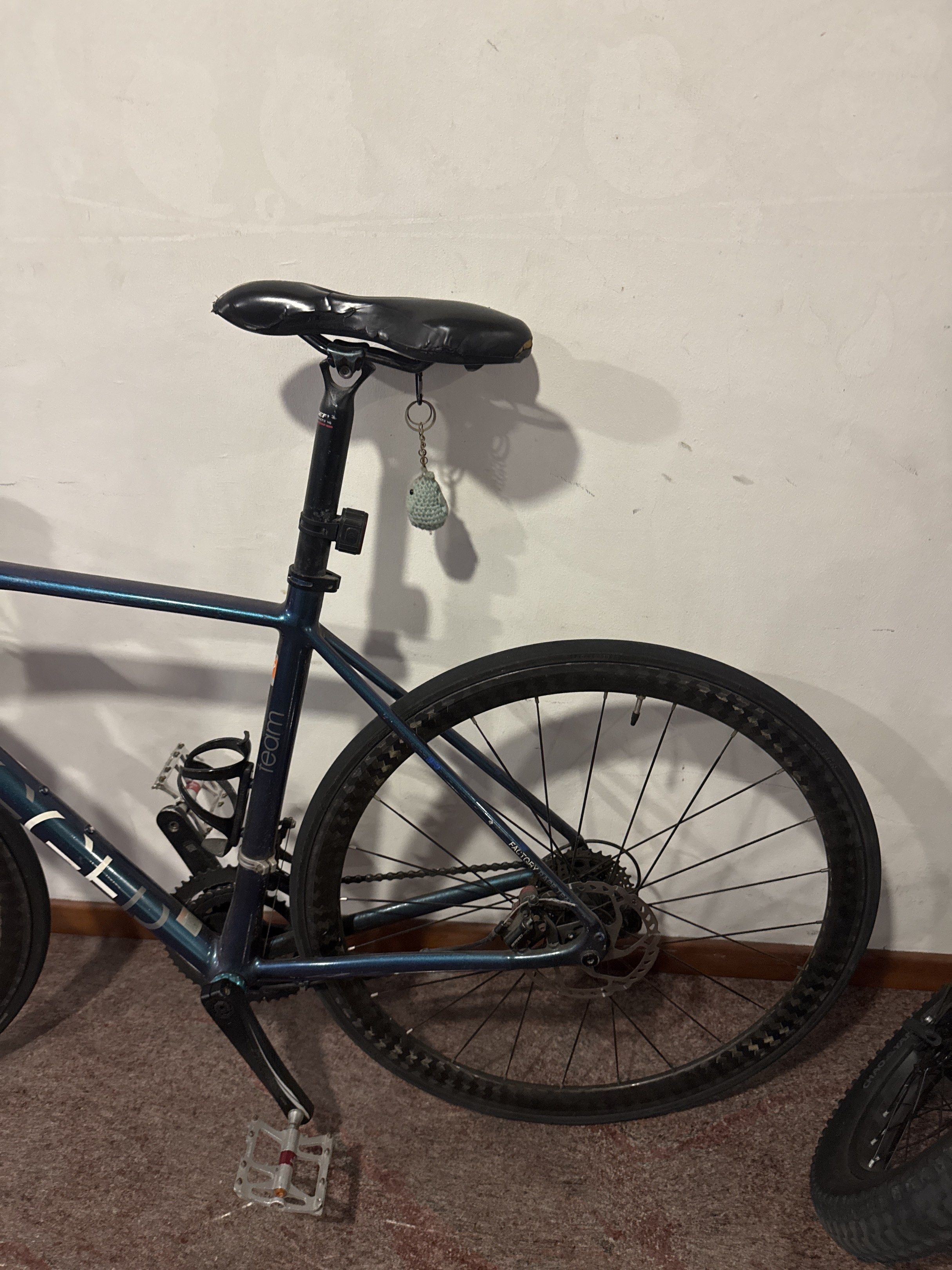 DAGGER ROAD BIKE, Sports Equipment, Bicycles & Parts, Bicycles on Carousell