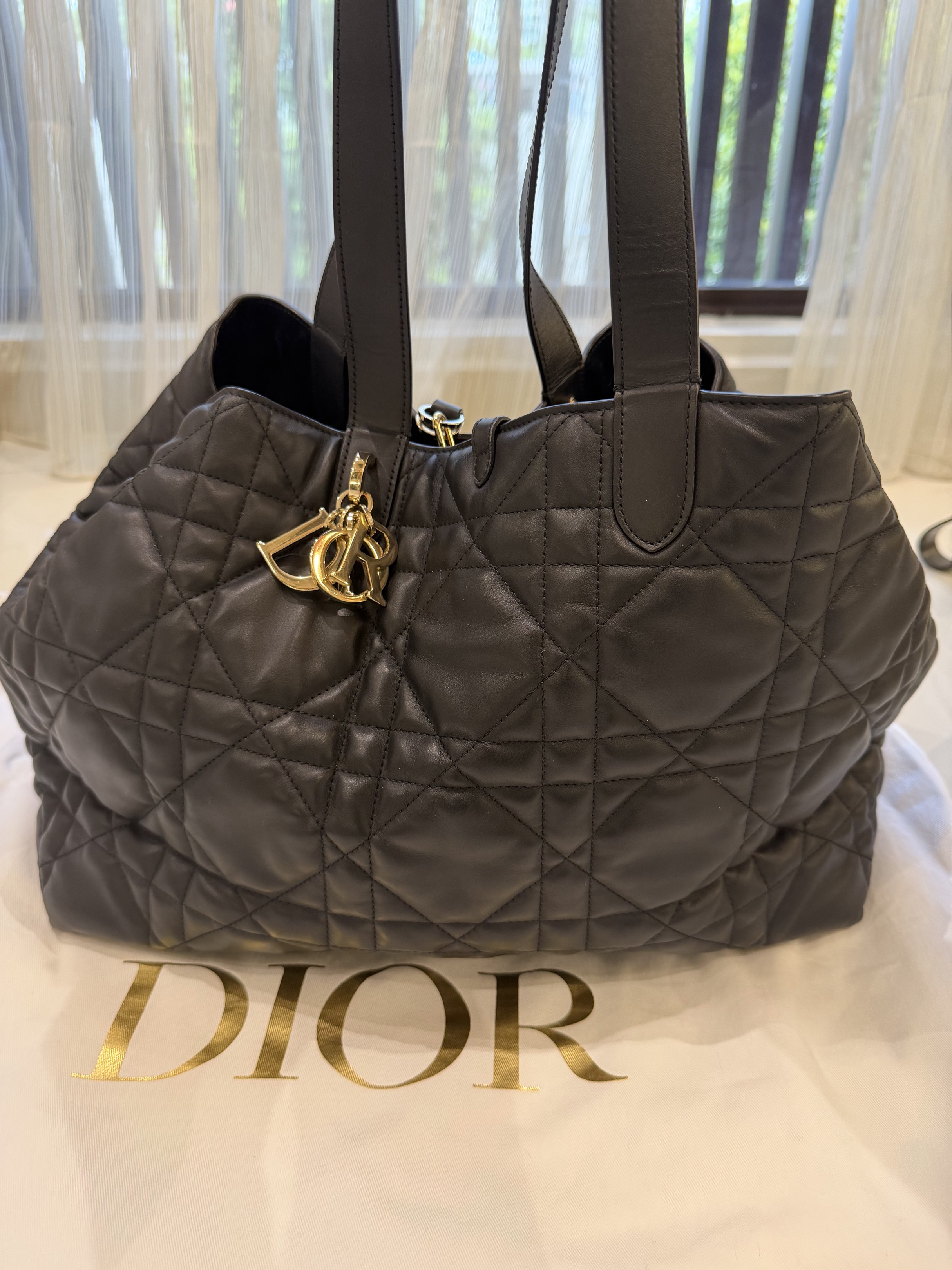 Dior Toujours Large Tote Bag, Luxury, Bags & Wallets on Carousell