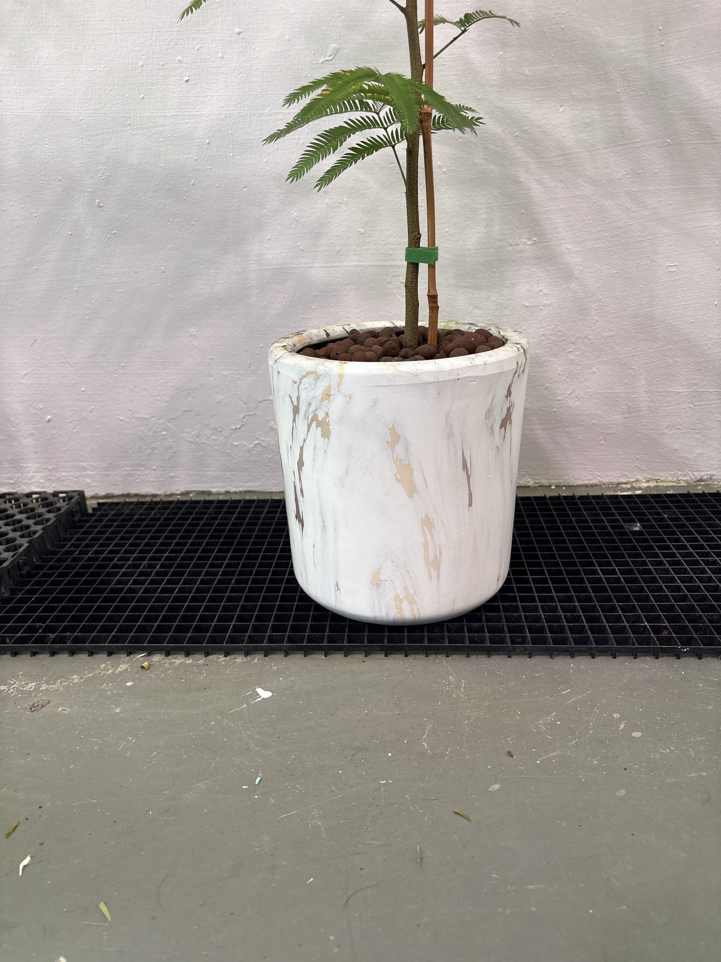 Everfresh Tree 4ft tall in ceramic pot, Furniture & Home Living ...