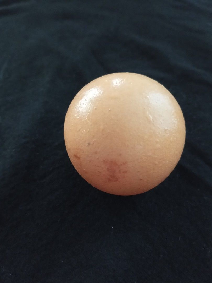 RARE COLLECTOR EGG, Furniture & Home Living, Kitchenware & Tableware ...