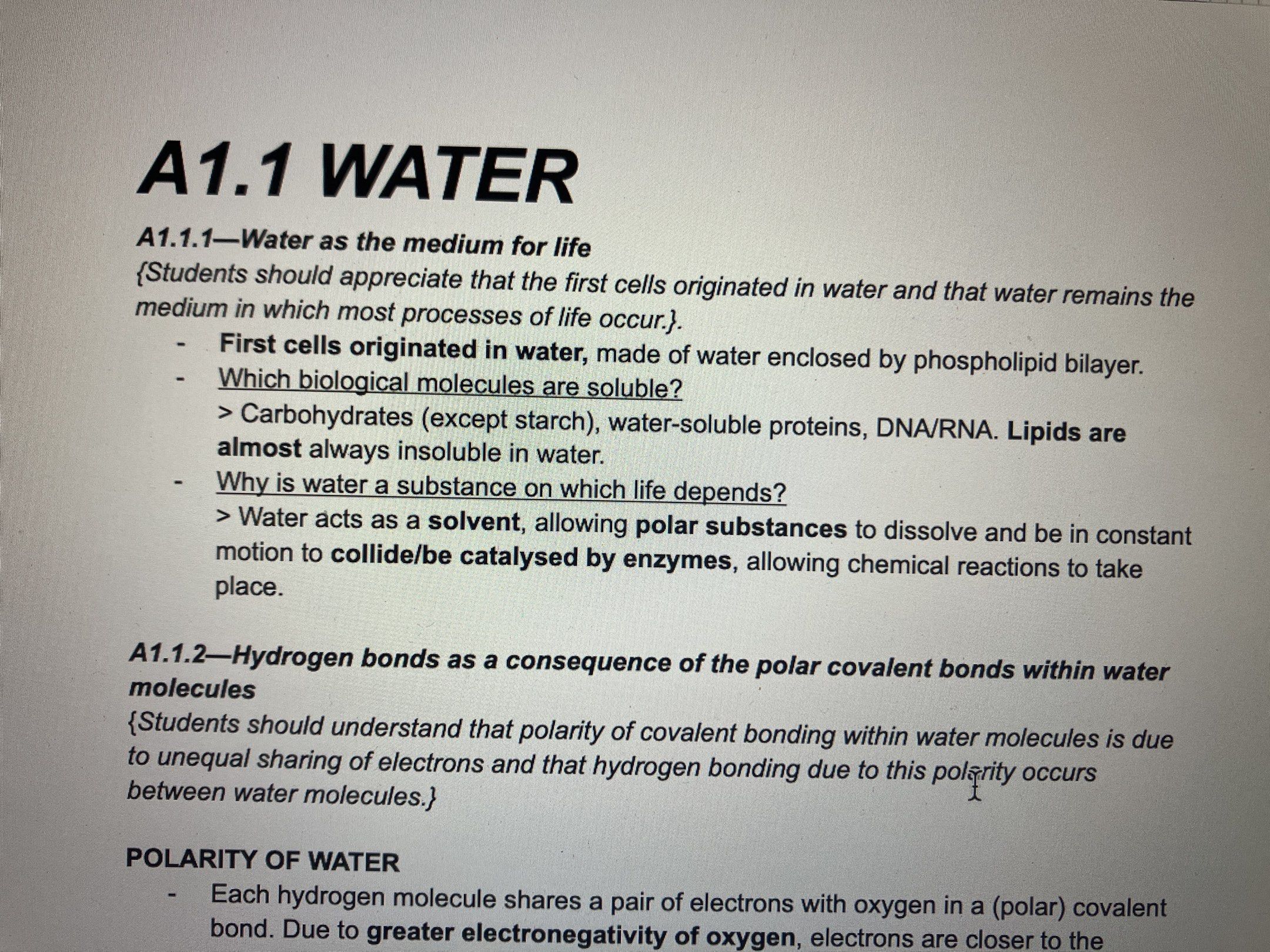 IB HL Biology Notes (PDF), Everything Else on Carousell
