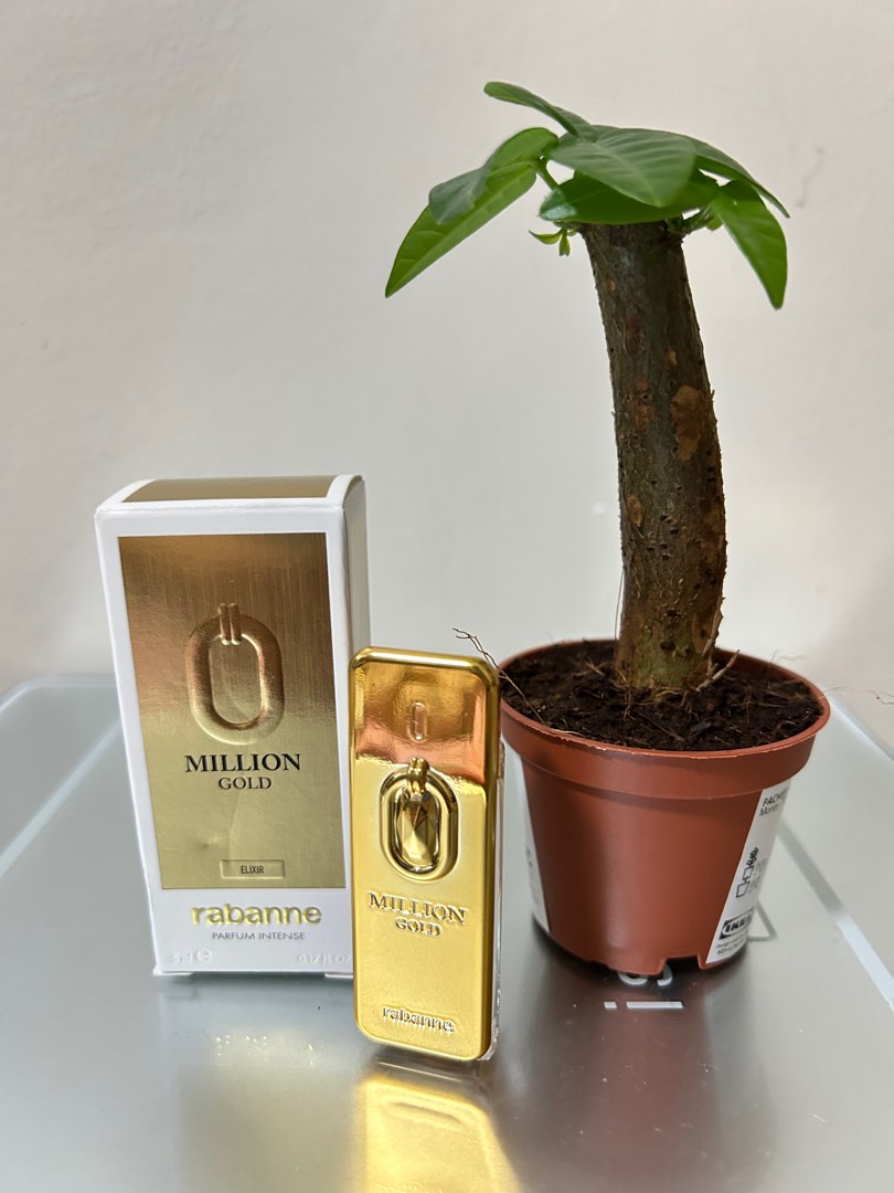 Rabanne Million Gold Elixir Parfum Intense, Beauty & Personal Care ...
