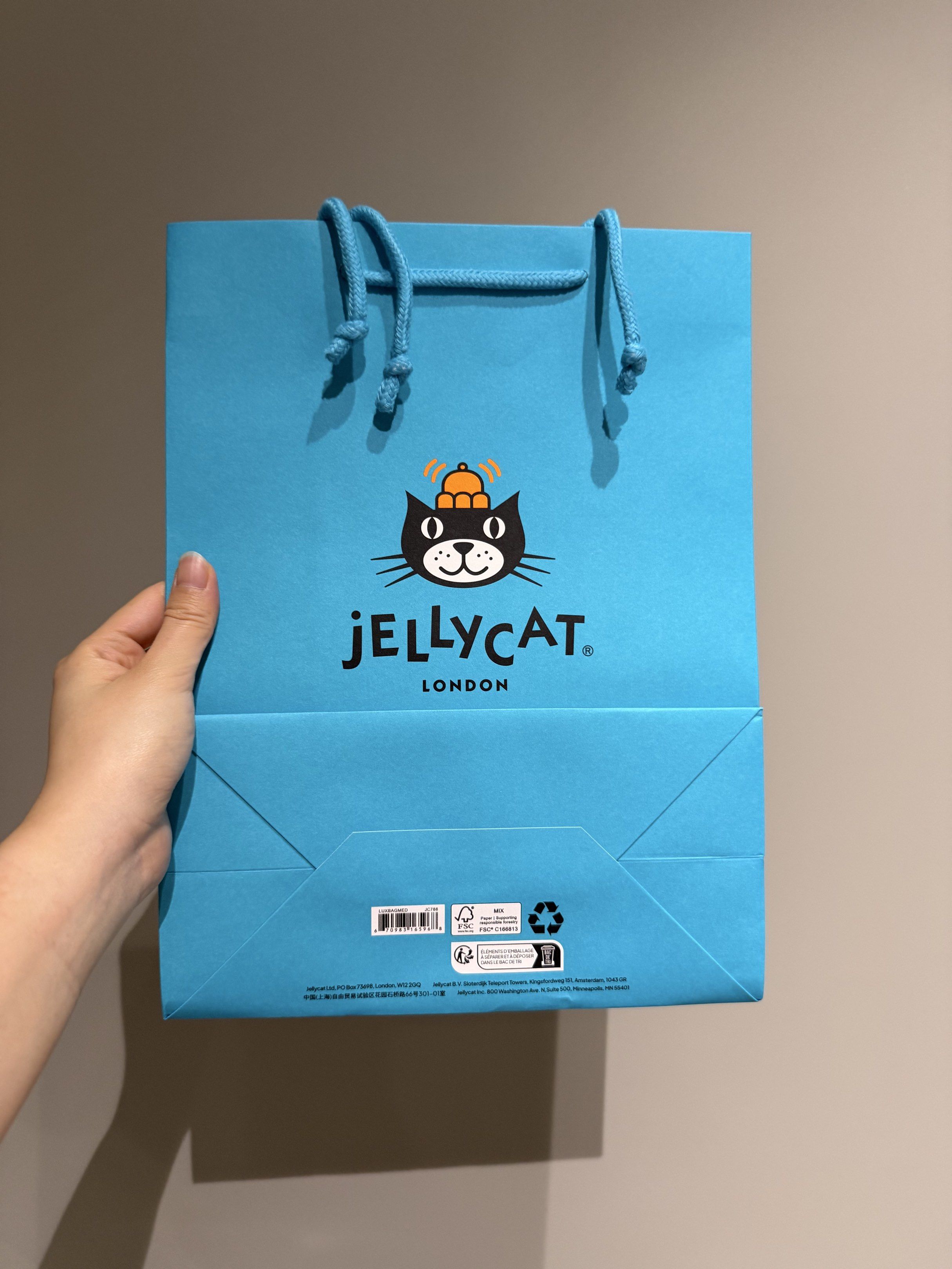 BN Jellycat gift paper bag, Hobbies & Toys, Toys & Games on Carousell