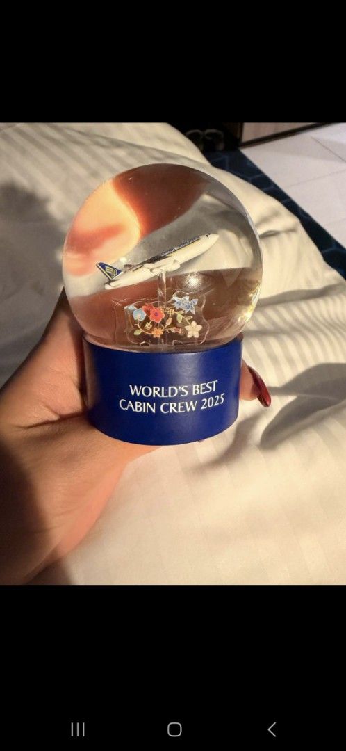 Cabin Crew 2025 Snow Globe, Furniture & Home Living, Home Decor ...