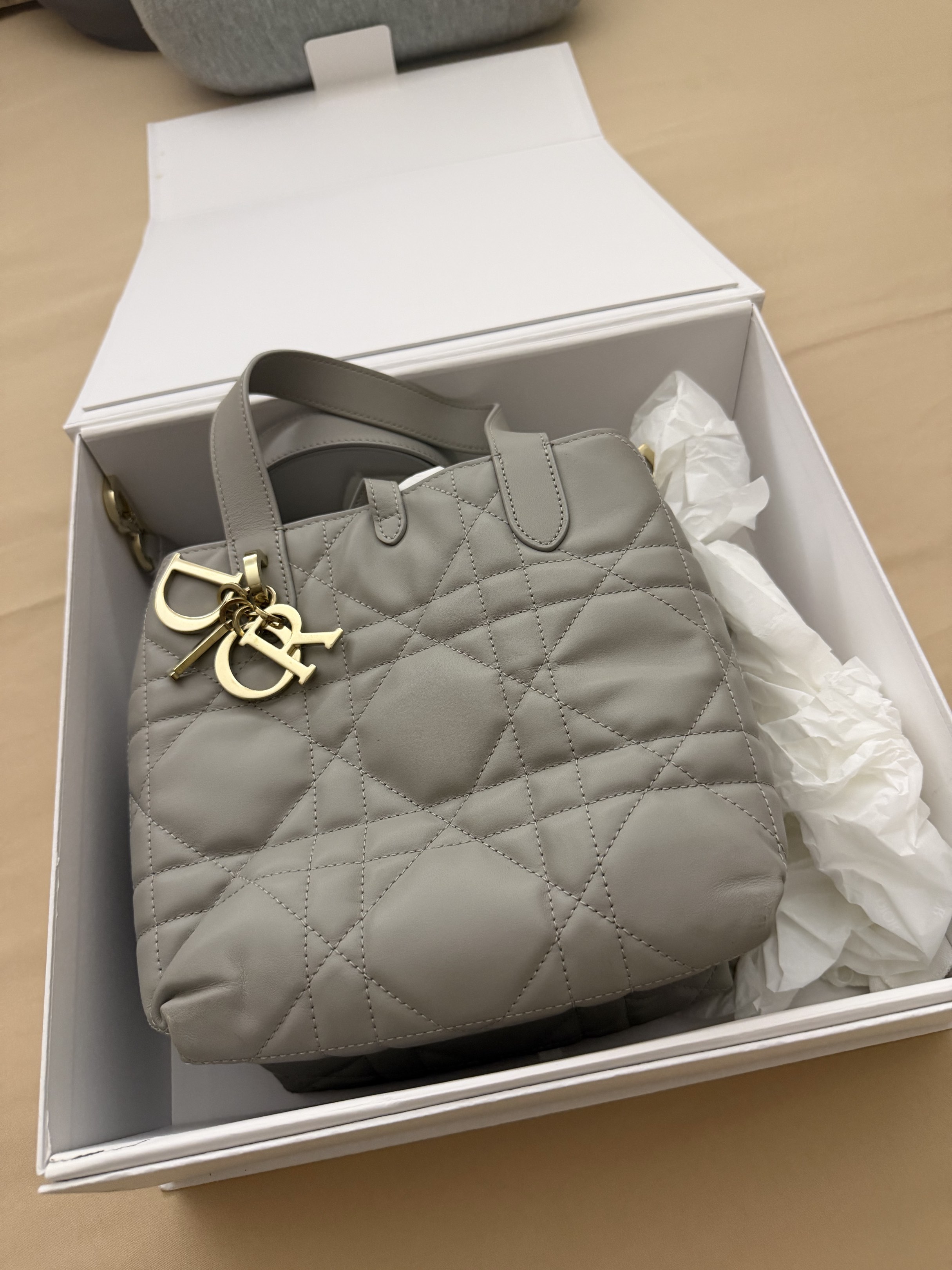 Dior Toujours Vertical Nano Tote Bag, Luxury, Bags & Wallets on Carousell