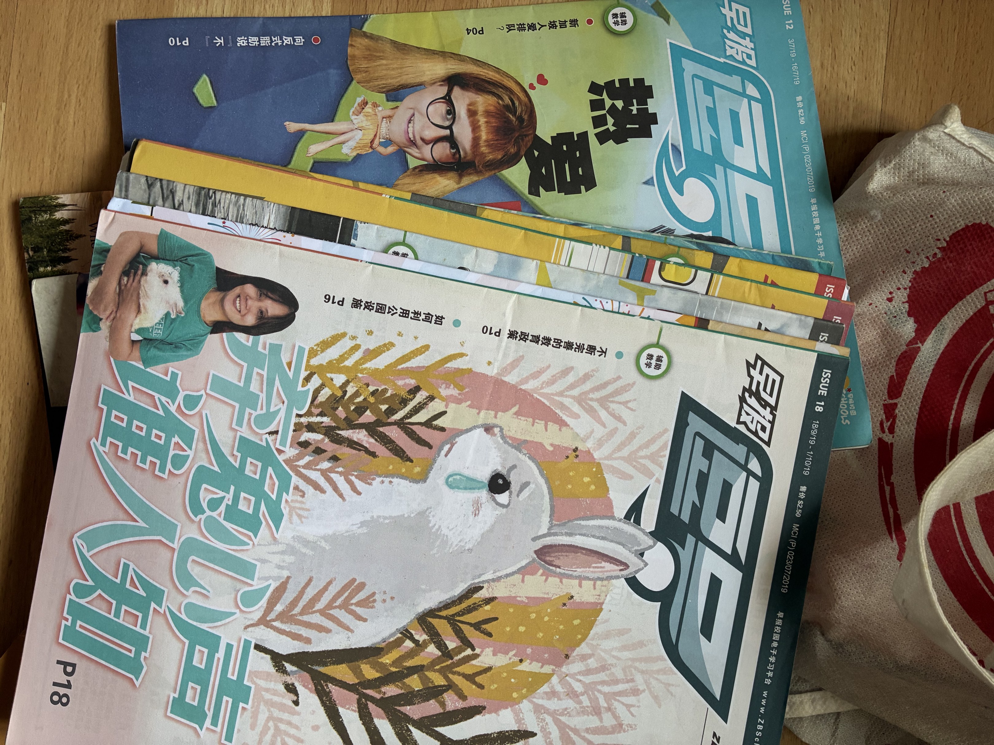 FREE Chinese weekly magazine primary secondary, Hobbies & Toys, Books ...