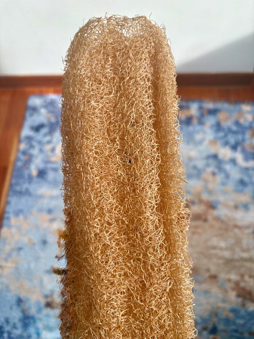 Natural Loofah Sponge, Beauty & Personal Care, Bath & Body, Bath on ...