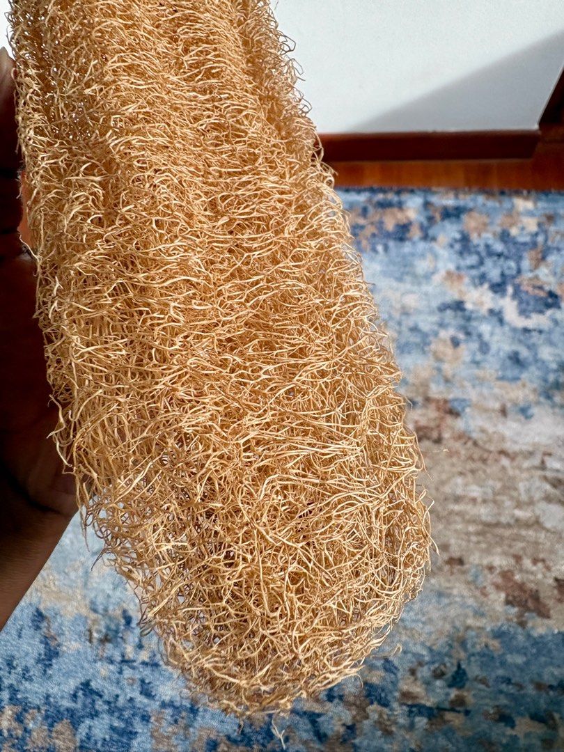 Natural Loofah Sponge, Beauty & Personal Care, Bath & Body, Bath on ...