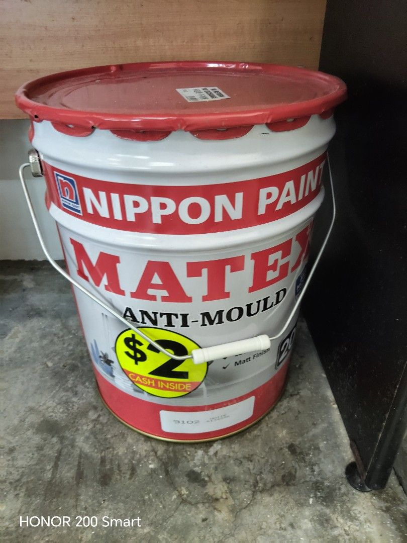 Nippon Paint Matex Anti-Mould Paint, Furniture & Home Living, Home ...