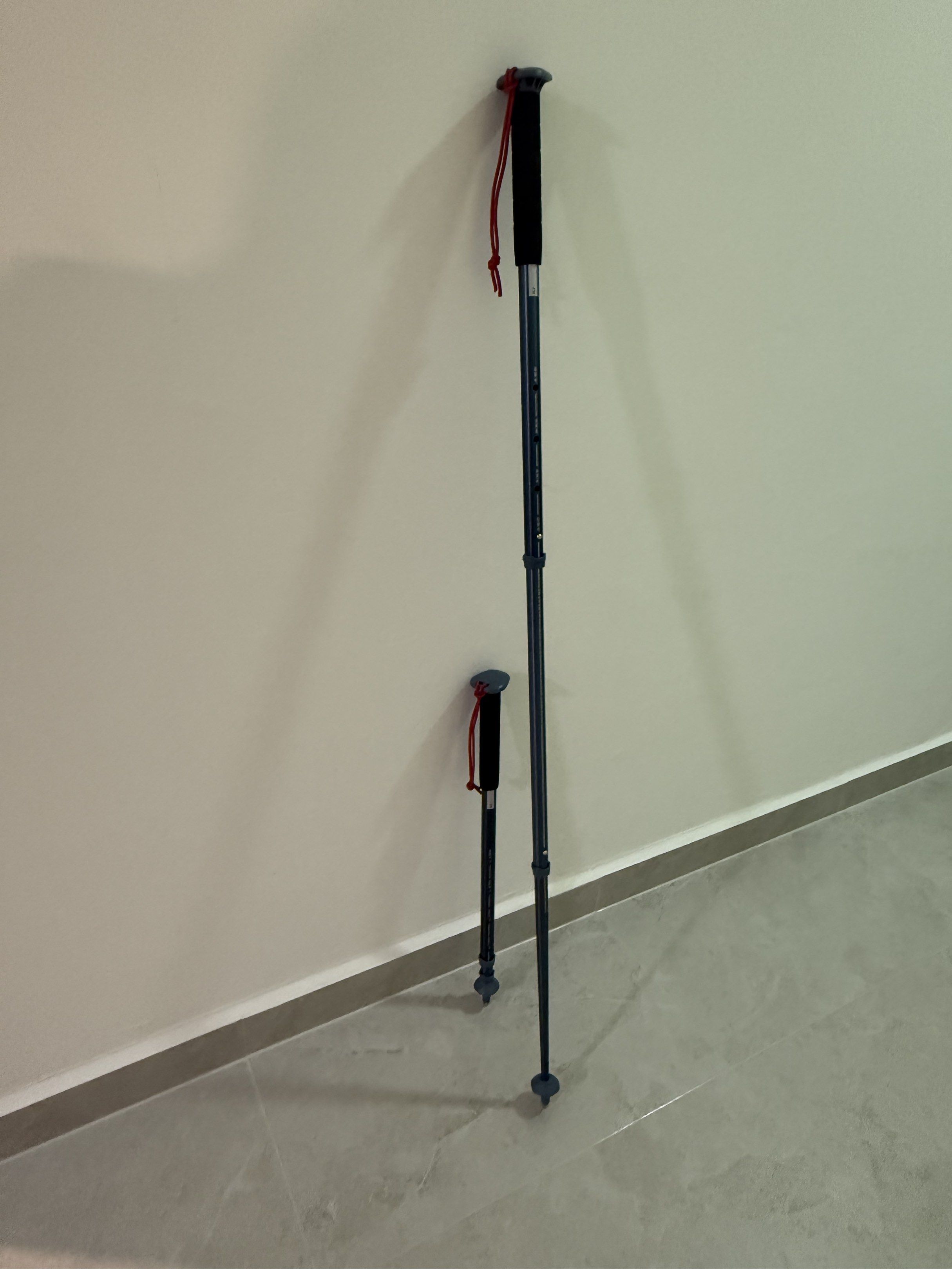 Quechua Trekking Poles - Adjustable, Sports Equipment, Hiking & Camping ...