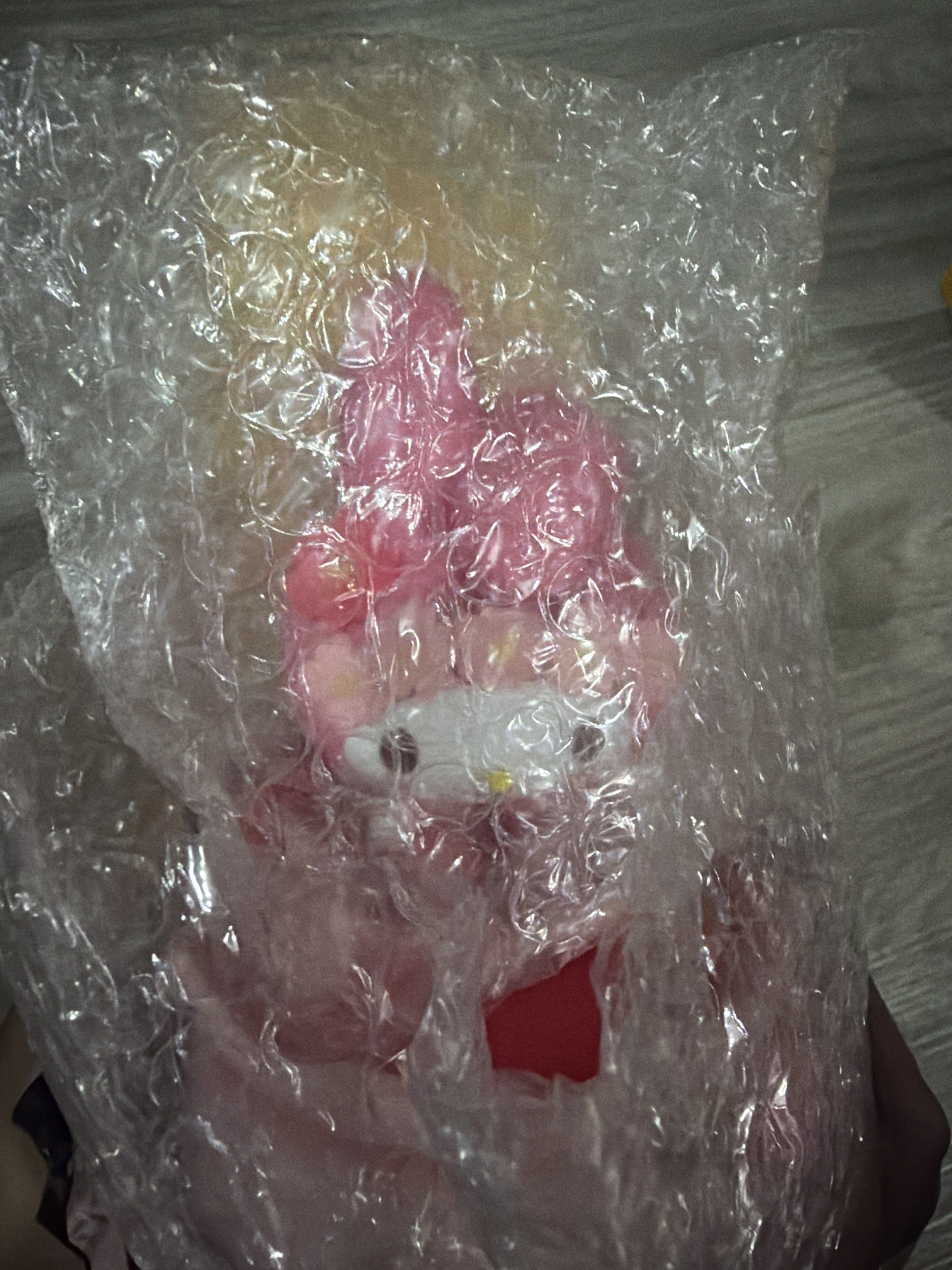 Sanrio Lucky Coin Bank Blind Box, Hobbies & Toys, Toys & Games on Carousell