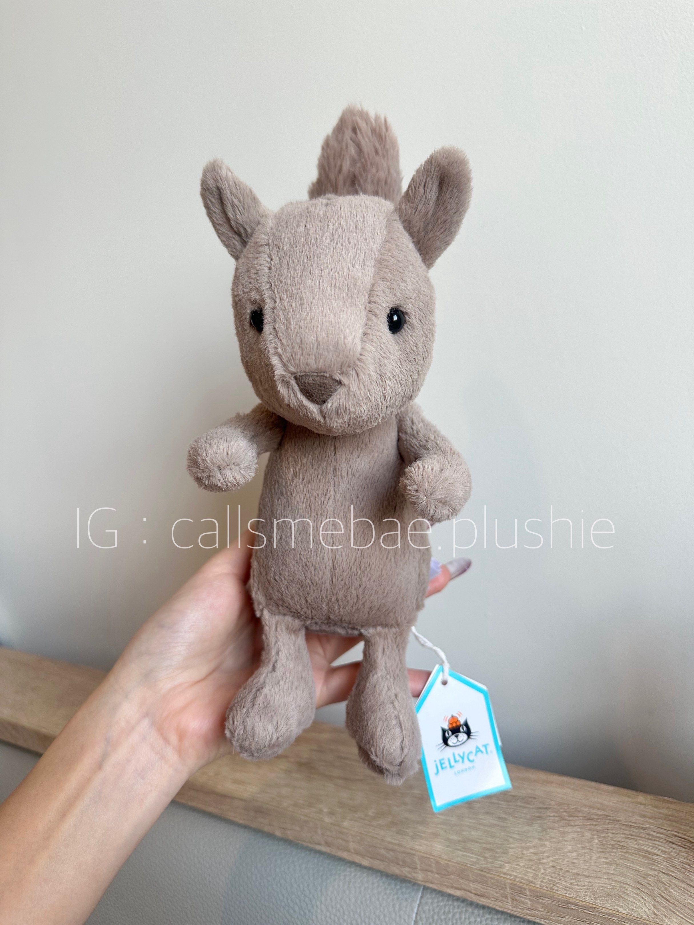 🔥SUPER RARE & RETIRED Jellycat Willow Squirrel 🐿️ Brand New , Hobbies ...