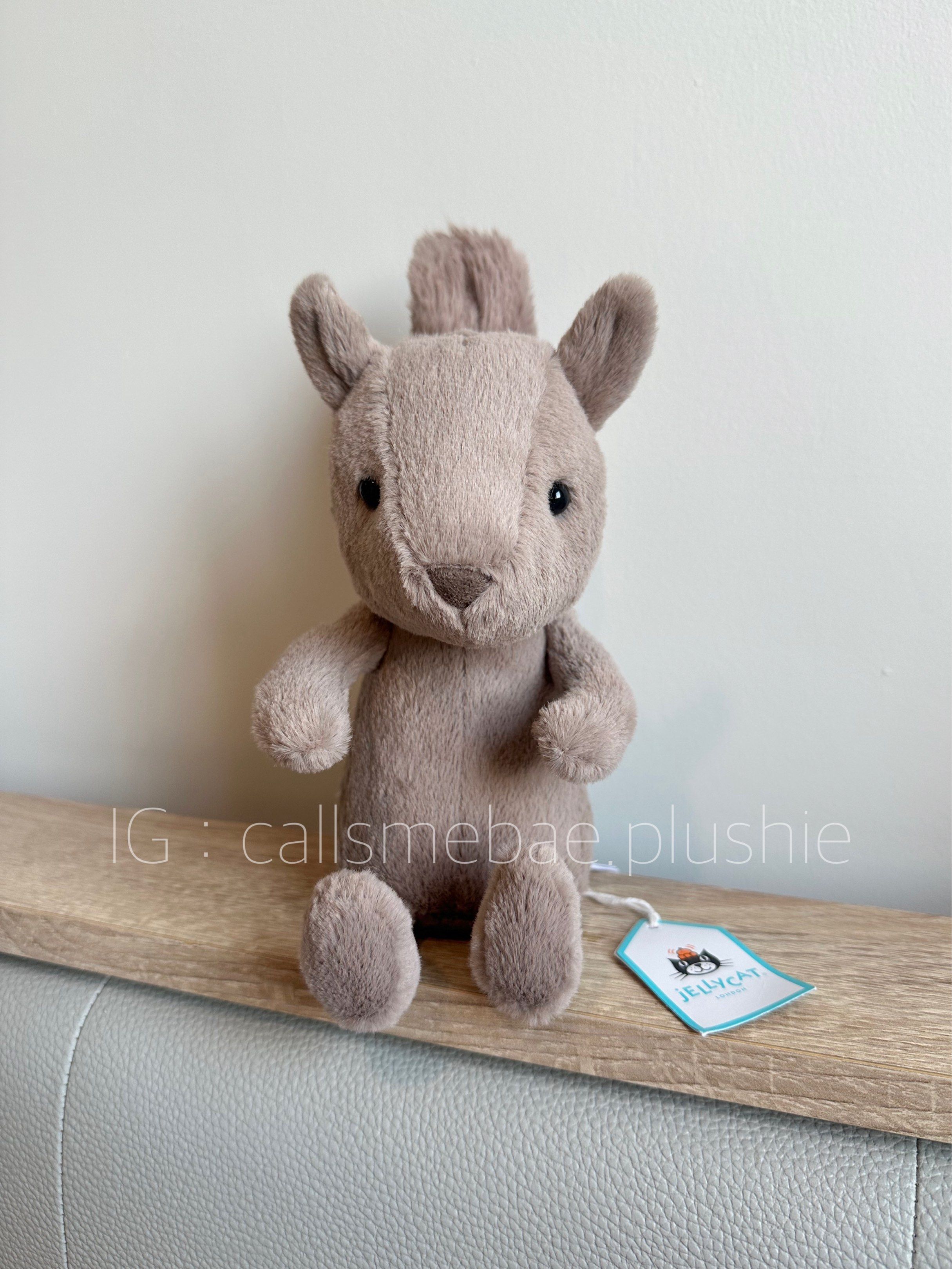 🔥SUPER RARE & RETIRED Jellycat Willow Squirrel 🐿️ Brand New , Hobbies ...