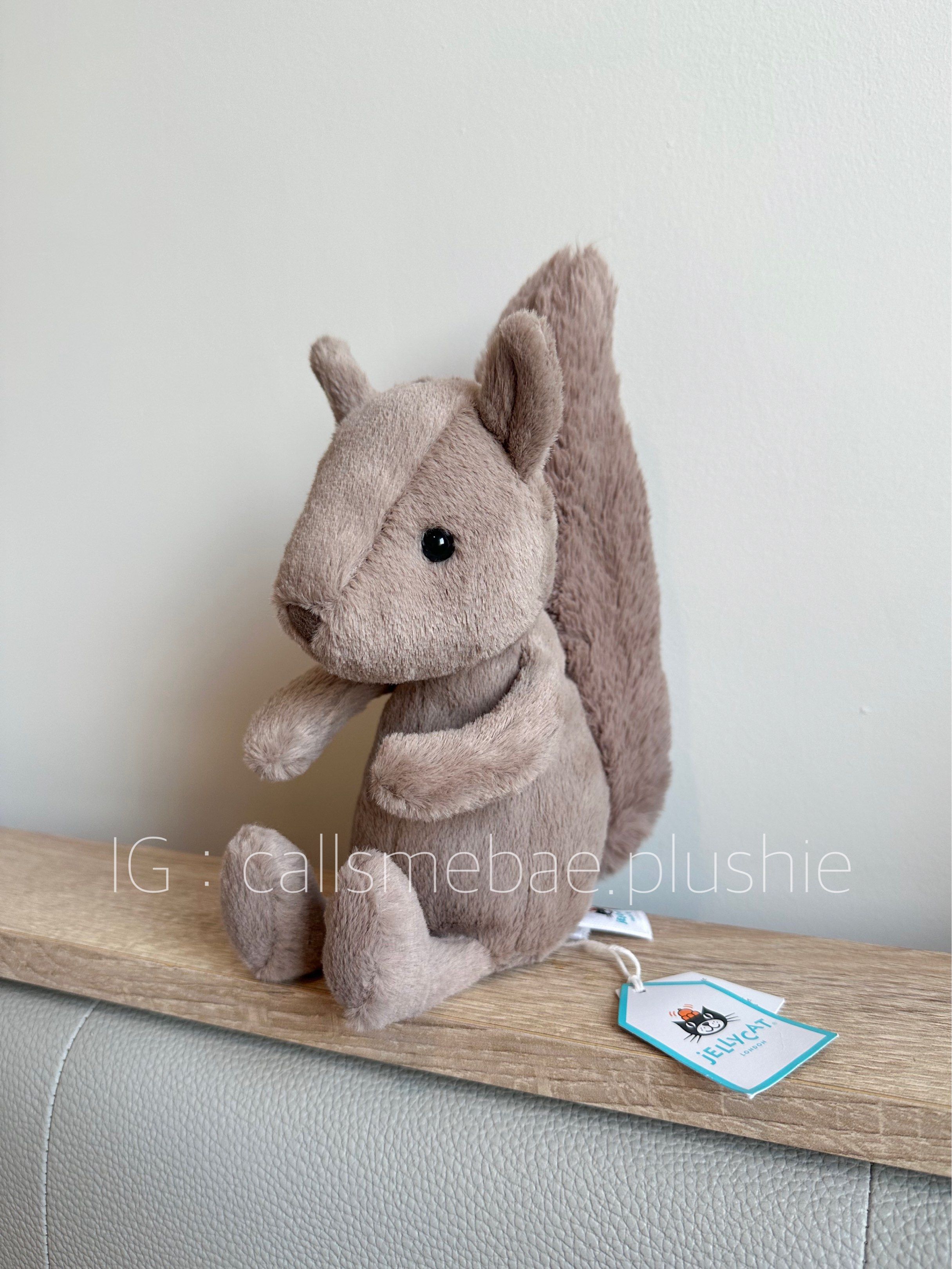 🔥SUPER RARE & RETIRED Jellycat Willow Squirrel 🐿️ Brand New , Hobbies ...
