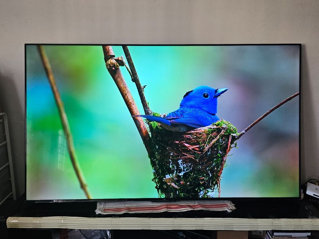 65" Xioami 4K TV with chromecast, TV & Home Appliances, TV ...