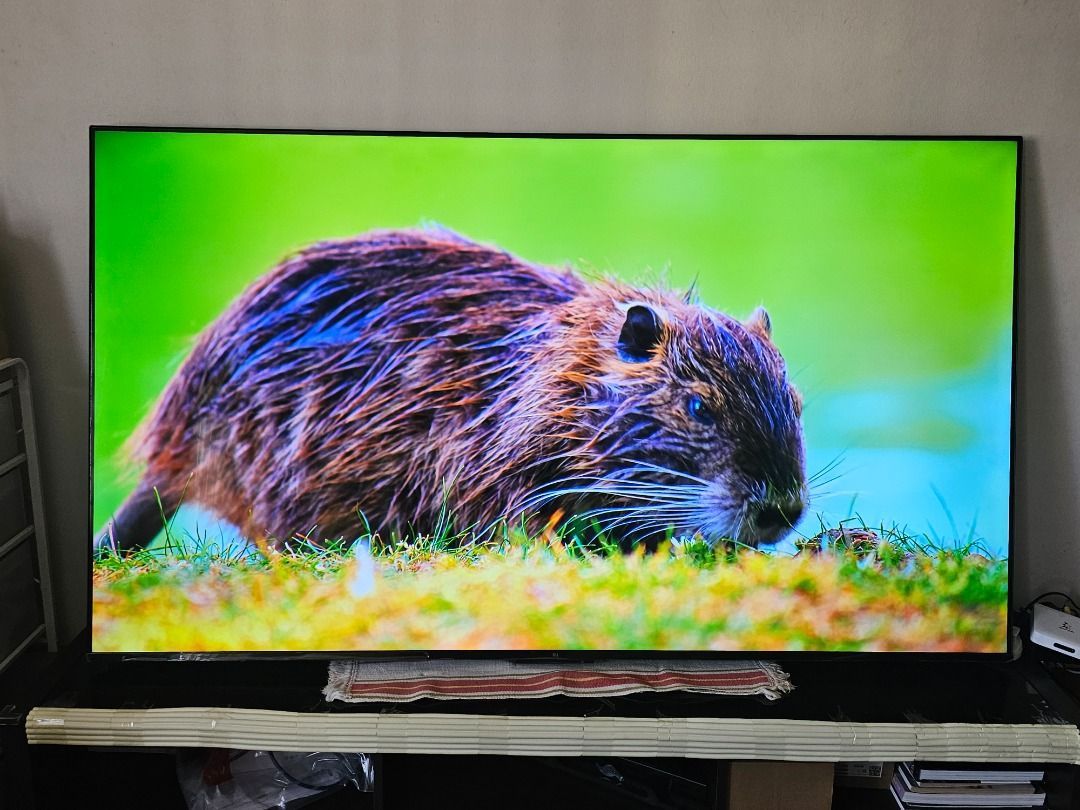 65" Xioami 4K TV with chromecast, TV & Home Appliances, TV ...