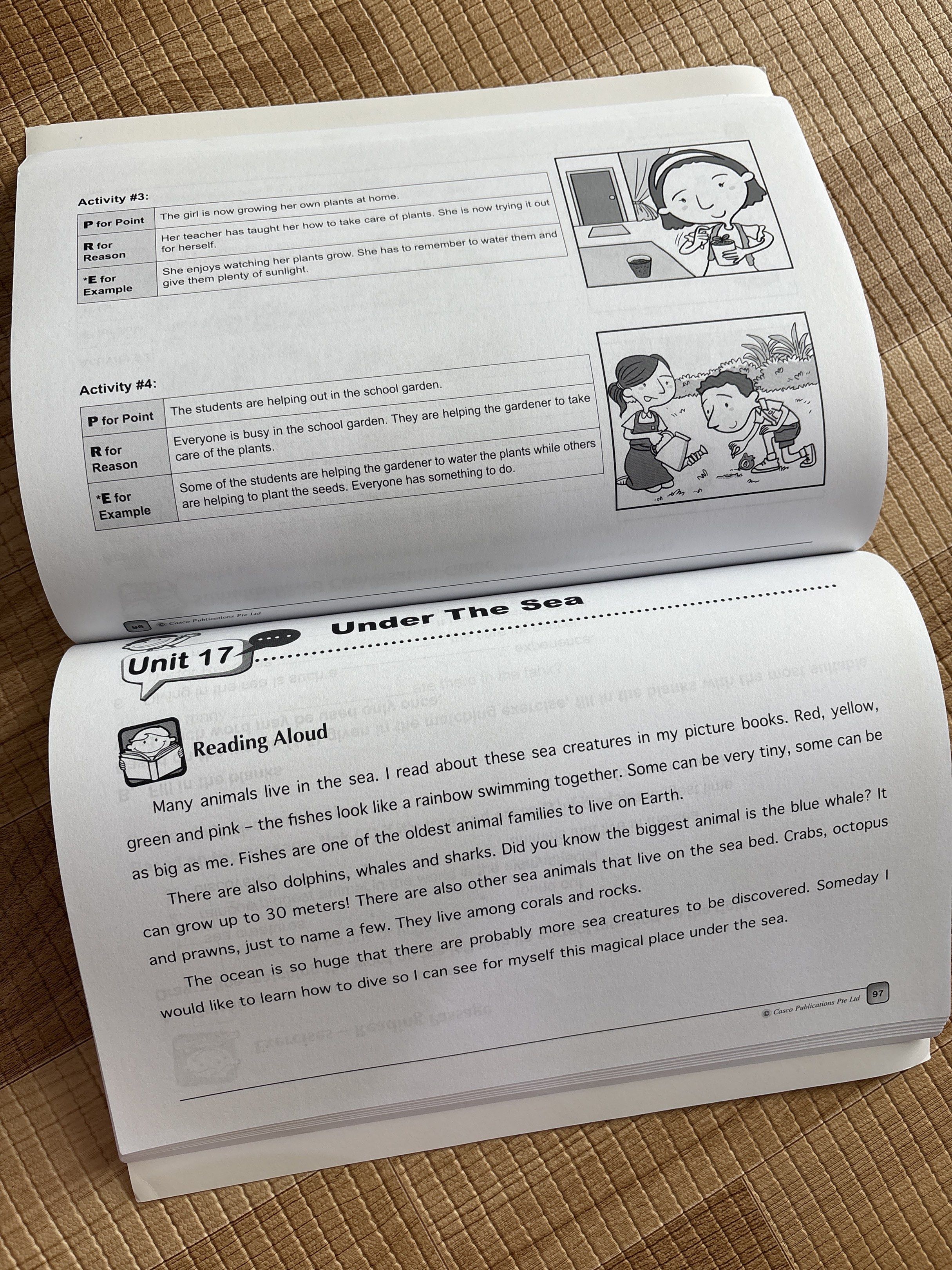 Casco English Oral Essential Guide - Primary 1, Hobbies & Toys, Books ...