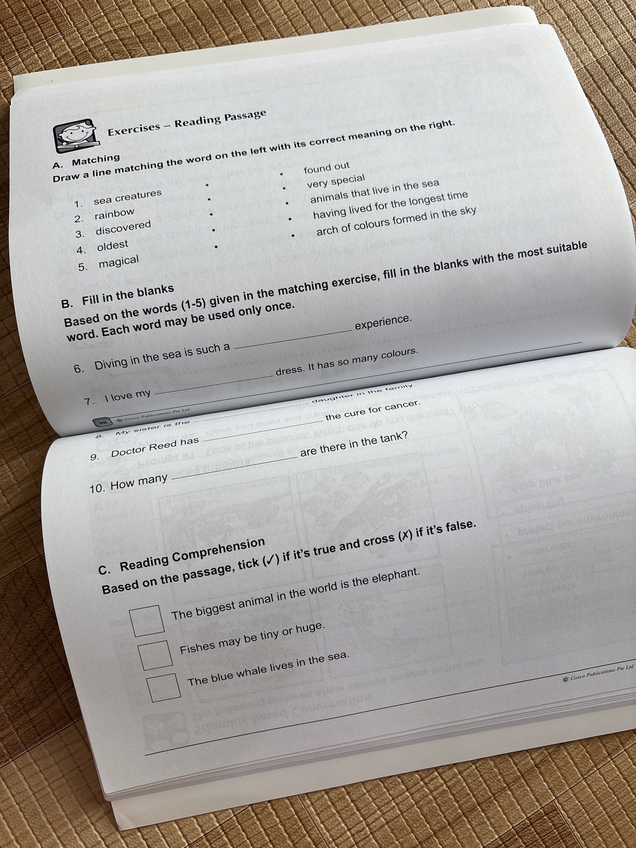 Casco English Oral Essential Guide - Primary 1, Hobbies & Toys, Books ...