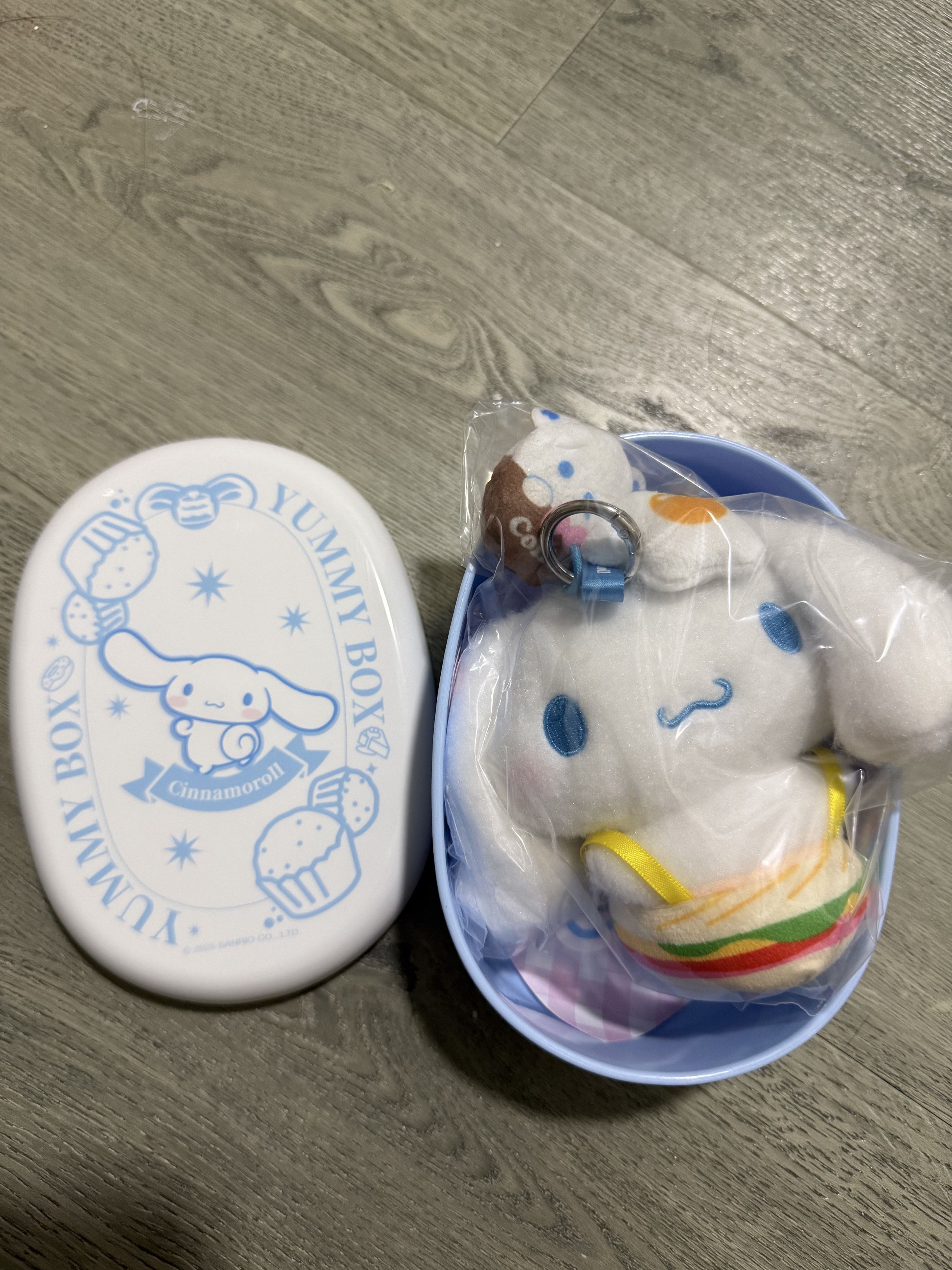 Cinnamoroll Bento Keychain (Sanrio, TopToy, blind box), Hobbies & Toys ...
