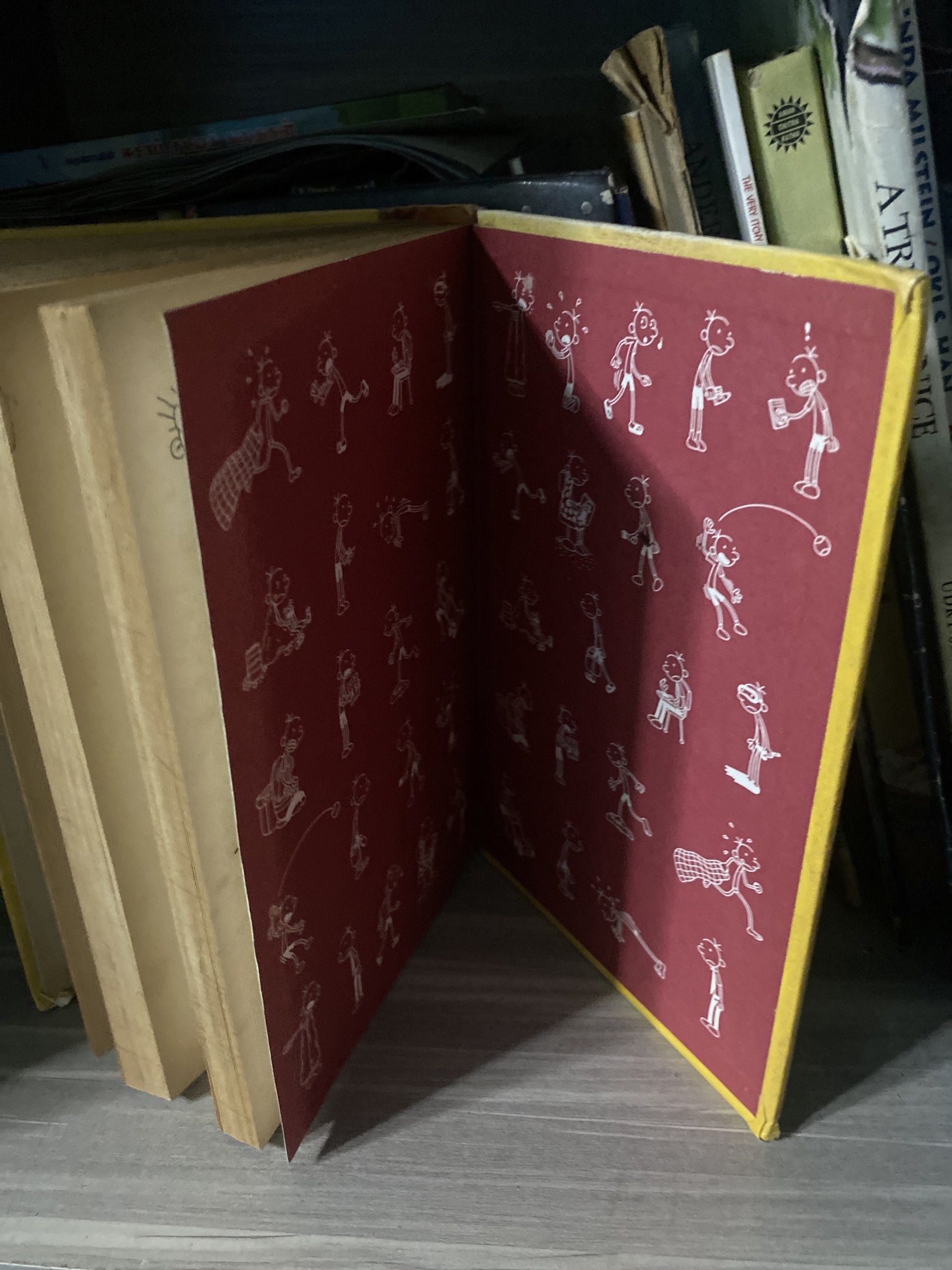 Diary of a Wimpy Kid Books - Dog Days & Wrecking Ball, Hobbies & Toys ...