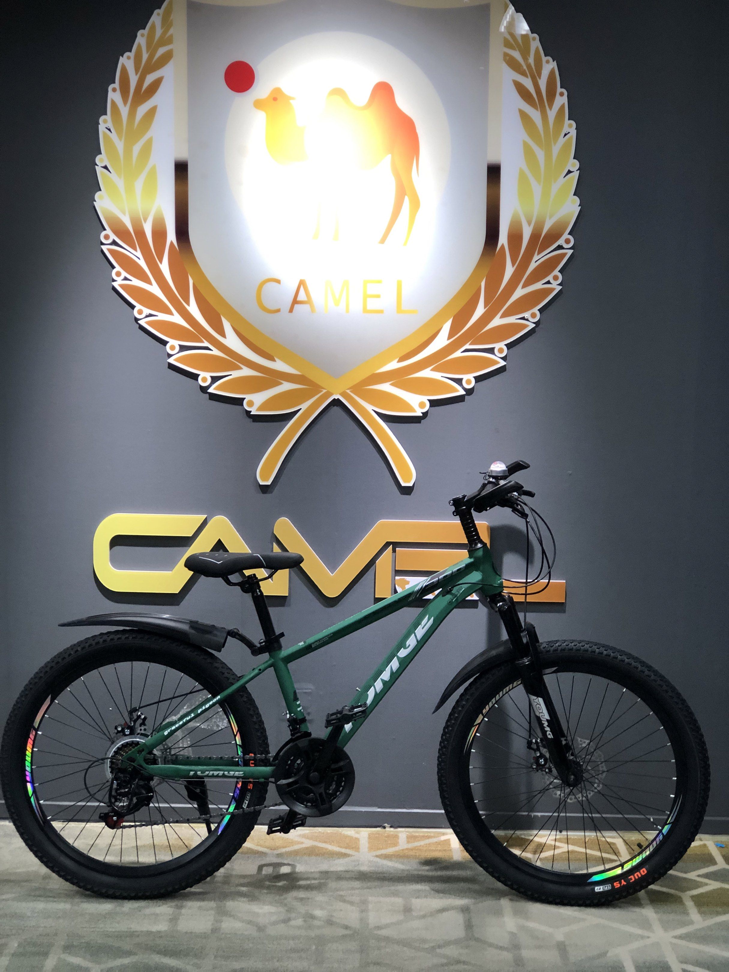 Limited time promotion 24inch mountain bike with Shimano gear, Sports ...