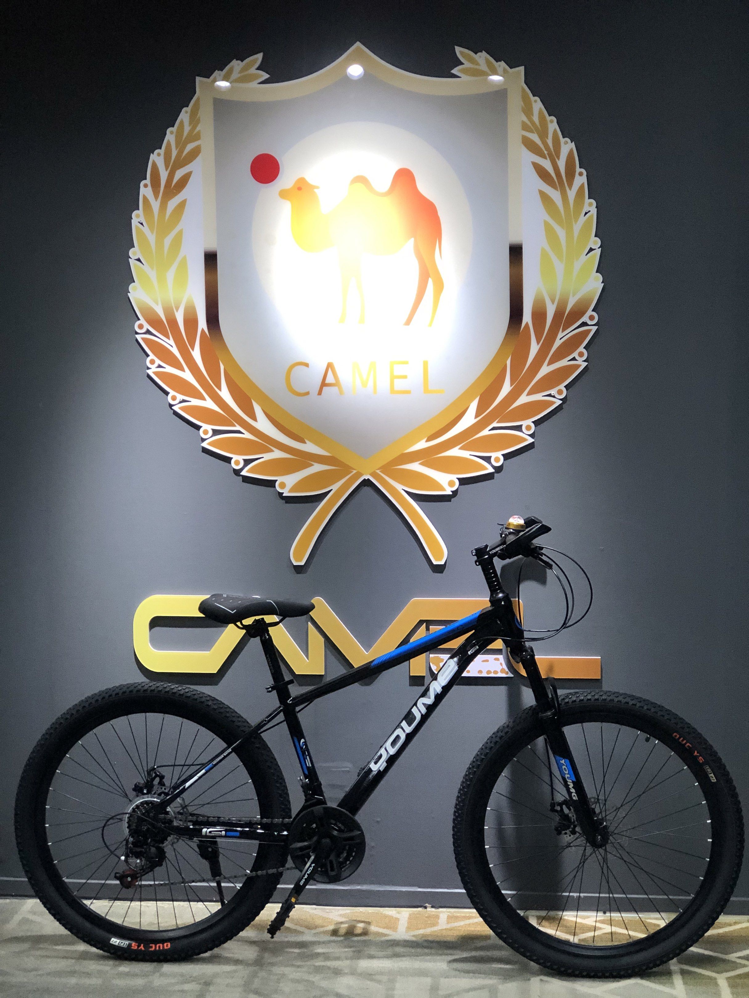 Limited time promotion 24inch mountain bike with Shimano gear, Sports ...