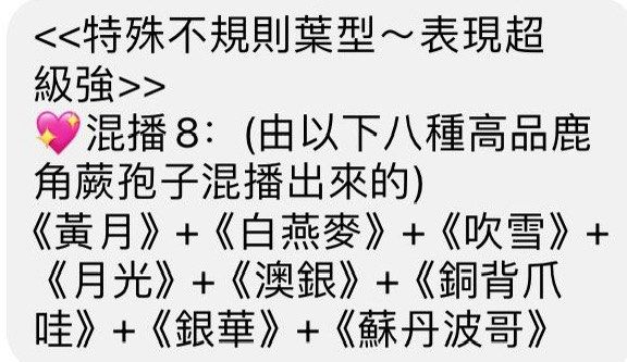 Platycerium mix 8, Furniture & Home Living, Gardening, Plants & Seeds ...