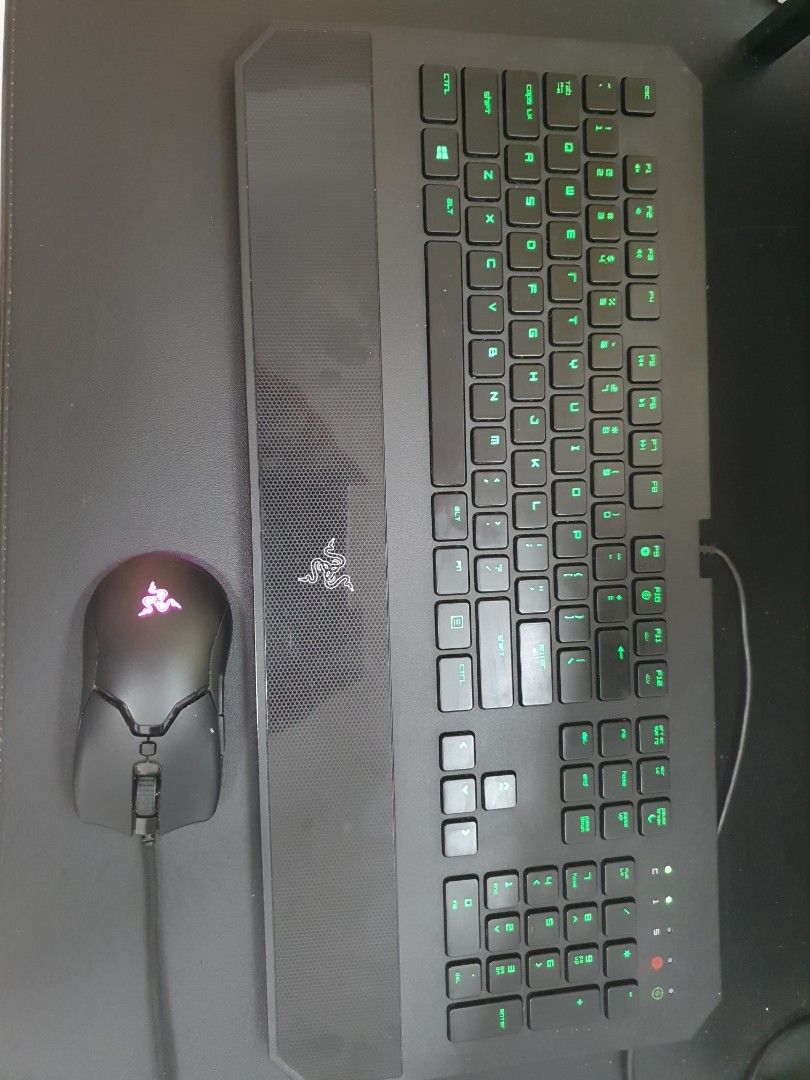 Razer Deathstalker Keyboard & Viper Mini Mouse Combo, Computers & Tech ...