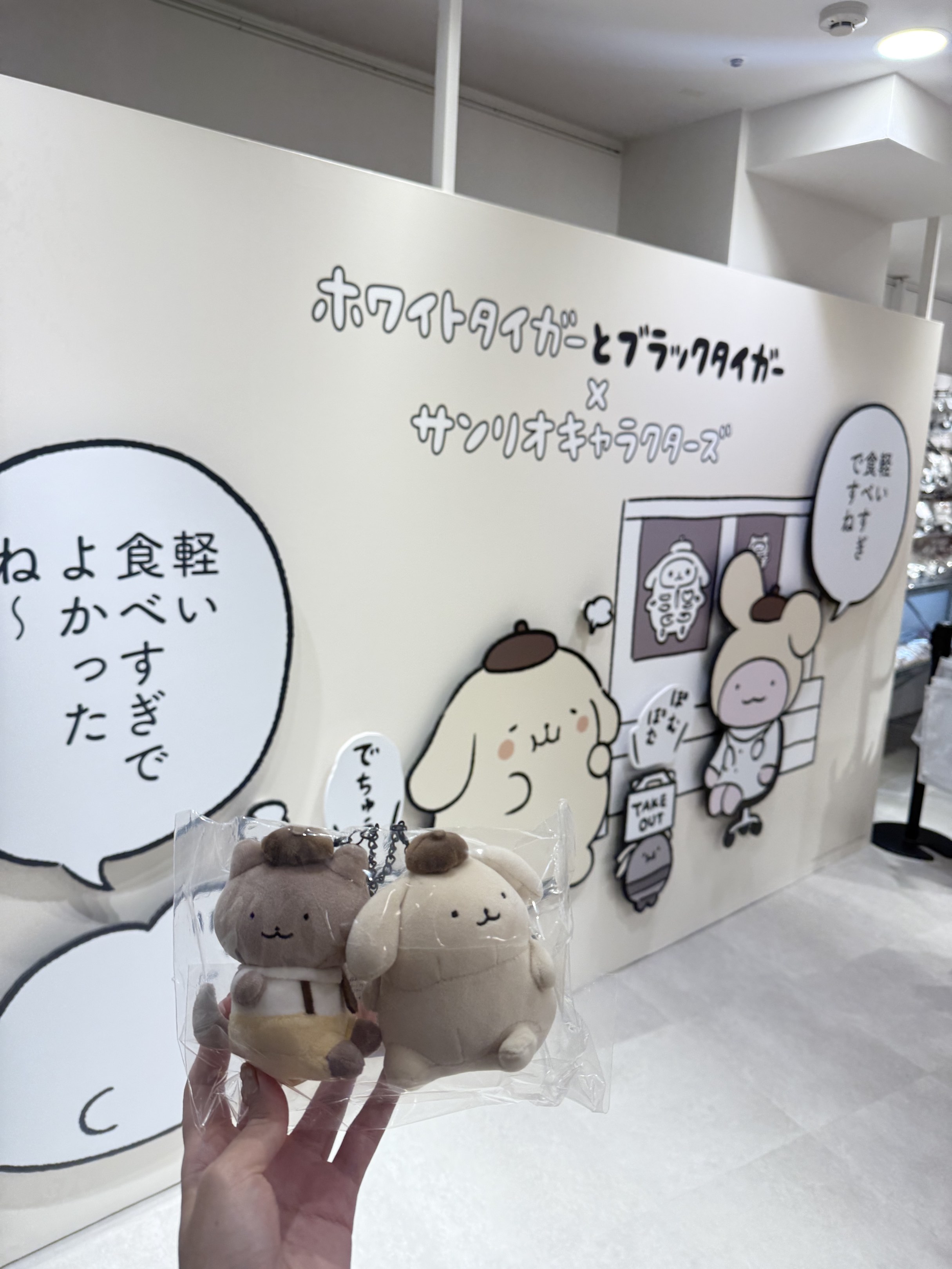 Sanrio White Tiger x Black Tiger Plushie Keychain, Hobbies & Toys, Toys ...