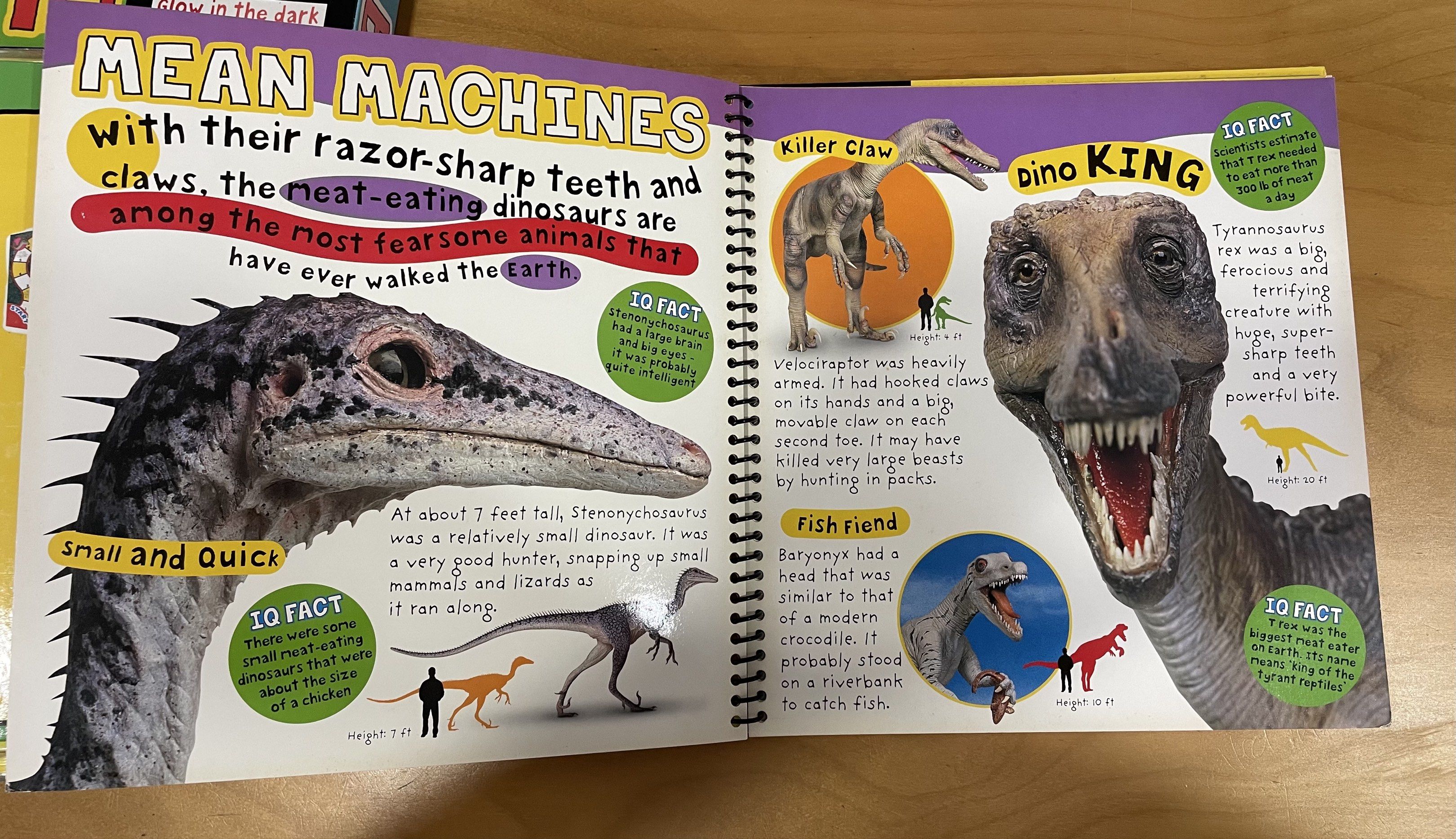 Smart Kids Bug IQ & Dino IQ Books, Hobbies & Toys, Books & Magazines ...