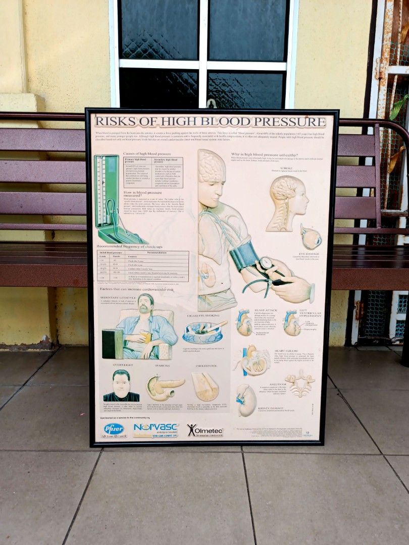 Vintage Anatomy Poster Chart Risk Of High Blood Pressure, Health ...