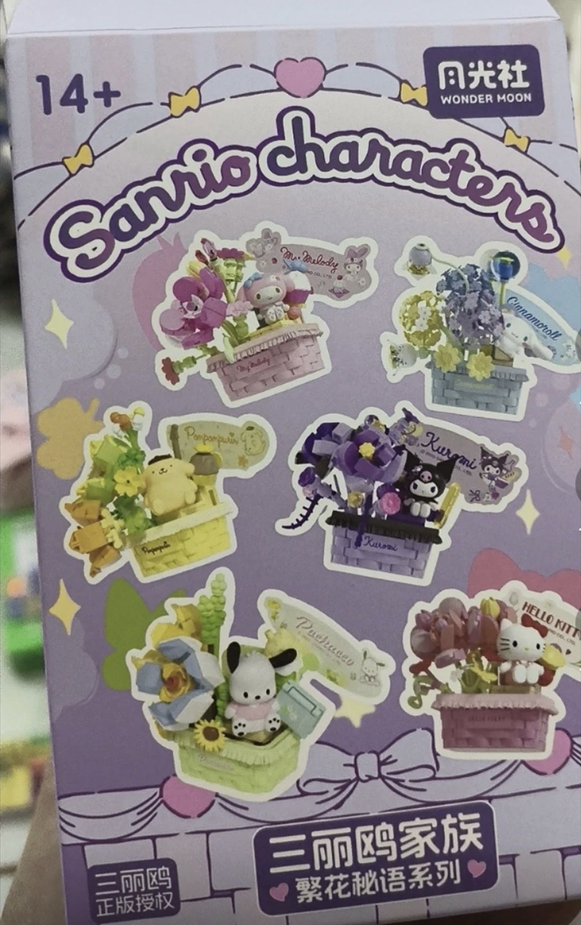 Wonder Moon Sanrio Characters Flower Series Blind Box, Hobbies & Toys ...