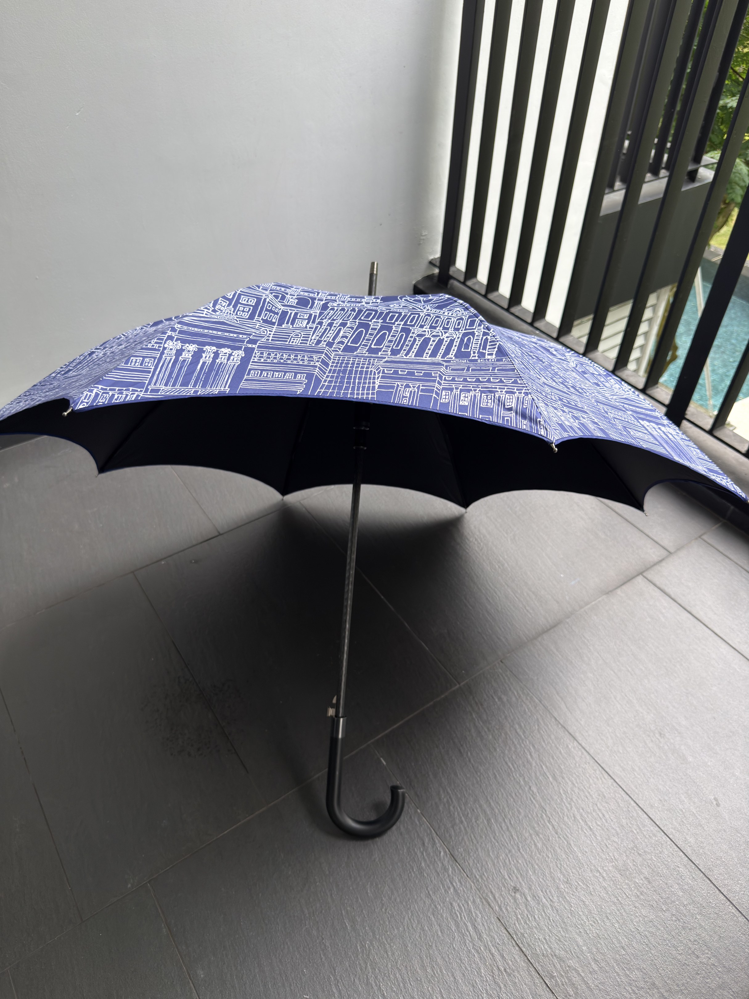 Zoom singapore print automatic Umbrella, Hobbies & Toys, Travel ...