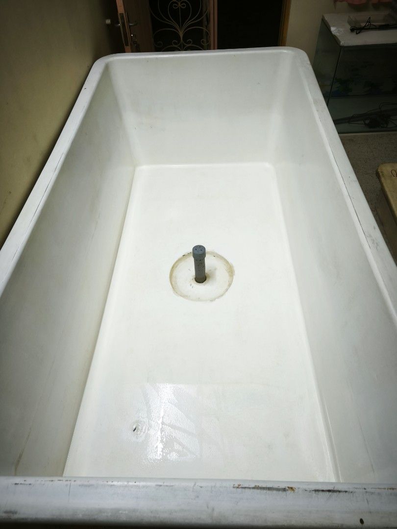 Aquarium Fiber Tank 6ft, Pet Supplies, Homes & Other Pet Accessories on ...