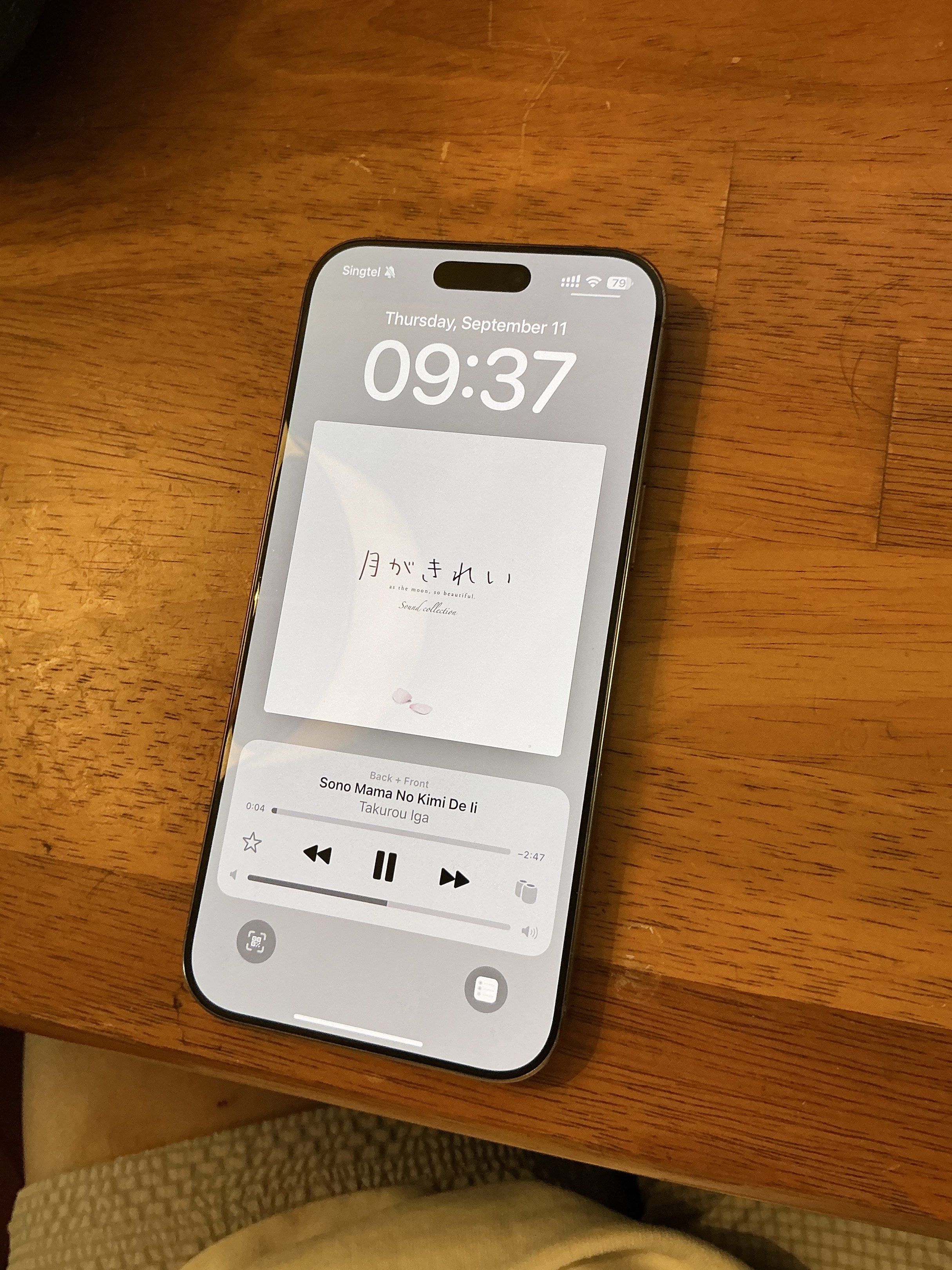 iPhone 16 Pro Max Desert Titanium 256GB, Mobile Phones & Gadgets ...