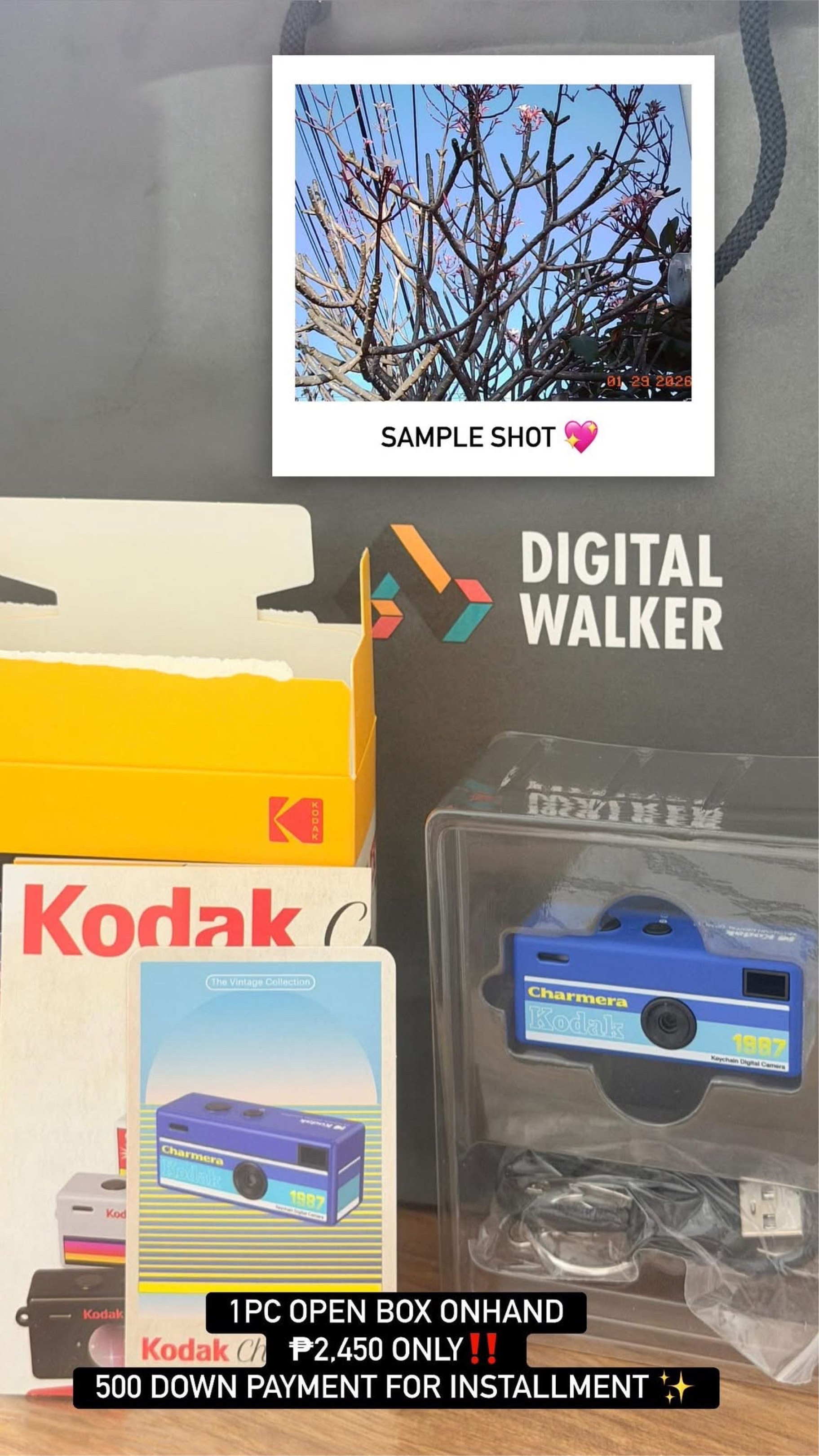 Kodak Charmera Digital Camera, Photography, Cameras on Carousell