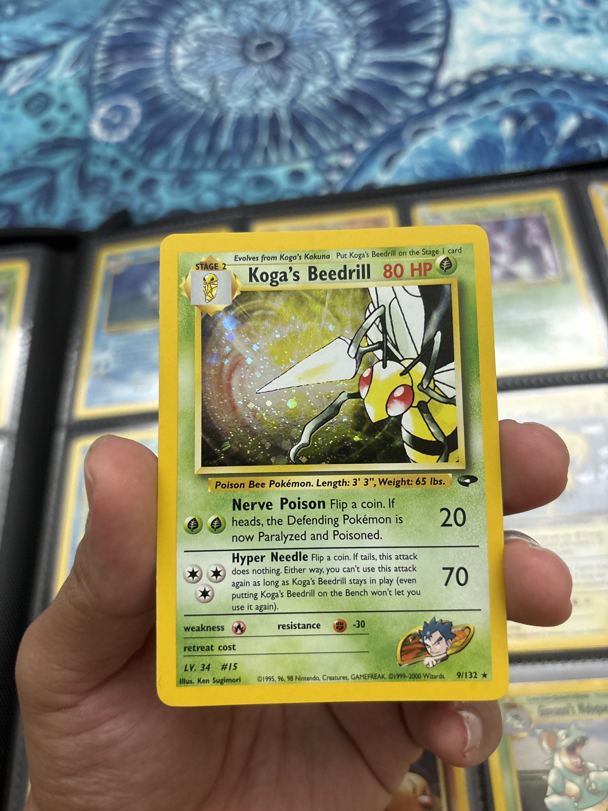 Koga's Beedrill gym challenge, Hobbies & Toys, Toys & Games on Carousell