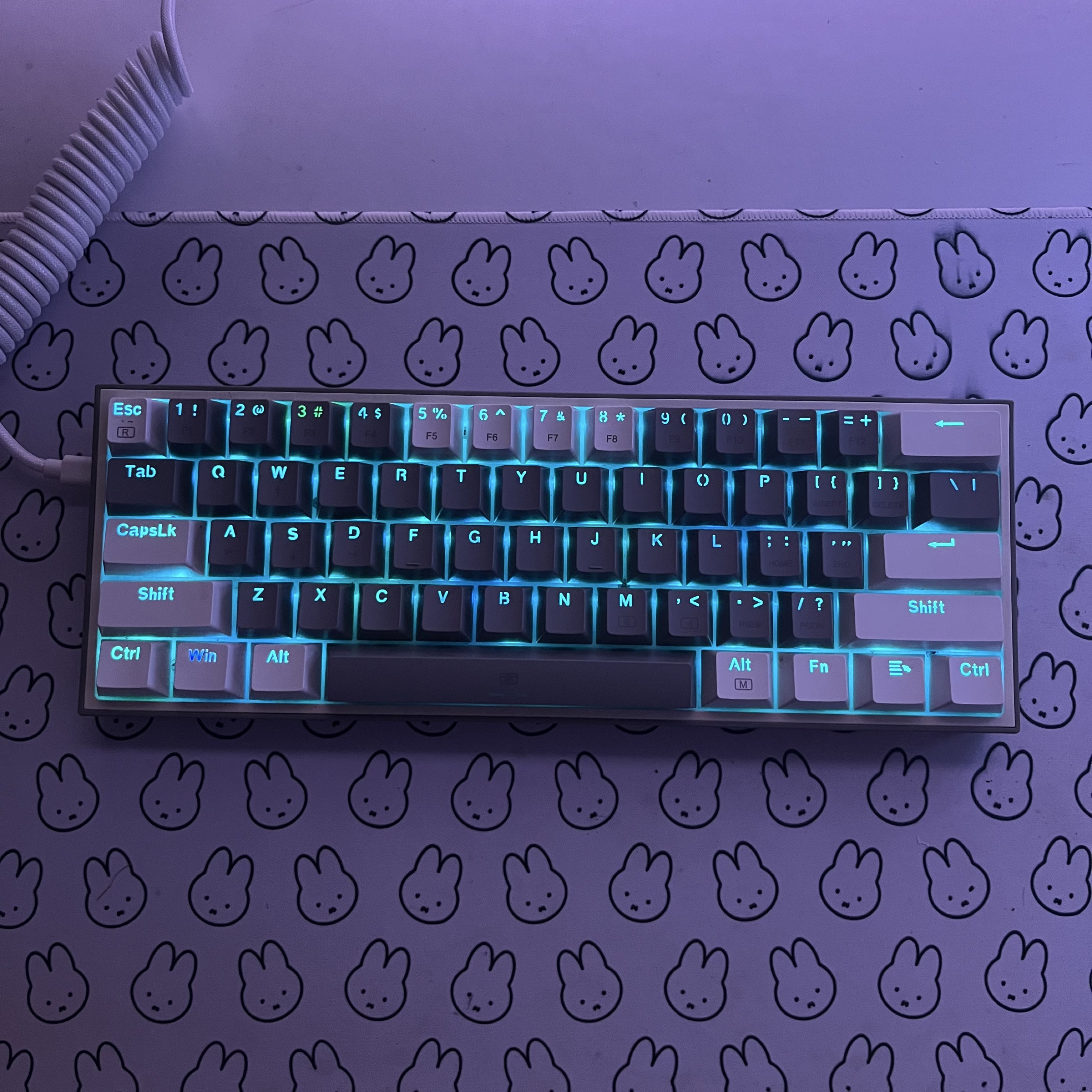 REDRAGON FIZZ RGB WIRED MECHANICAL GAMING KEYBOARD, Computers & Tech ...