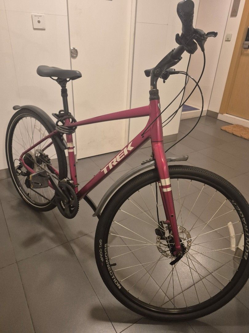Trek Verve 2 Hybrid Bike - Pink, Sports Equipment, Bicycles & Parts ...
