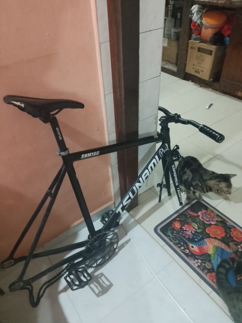 Tsunami SNM100 Fixed Gear Bike, Sports Equipment, Bicycles & Parts ...