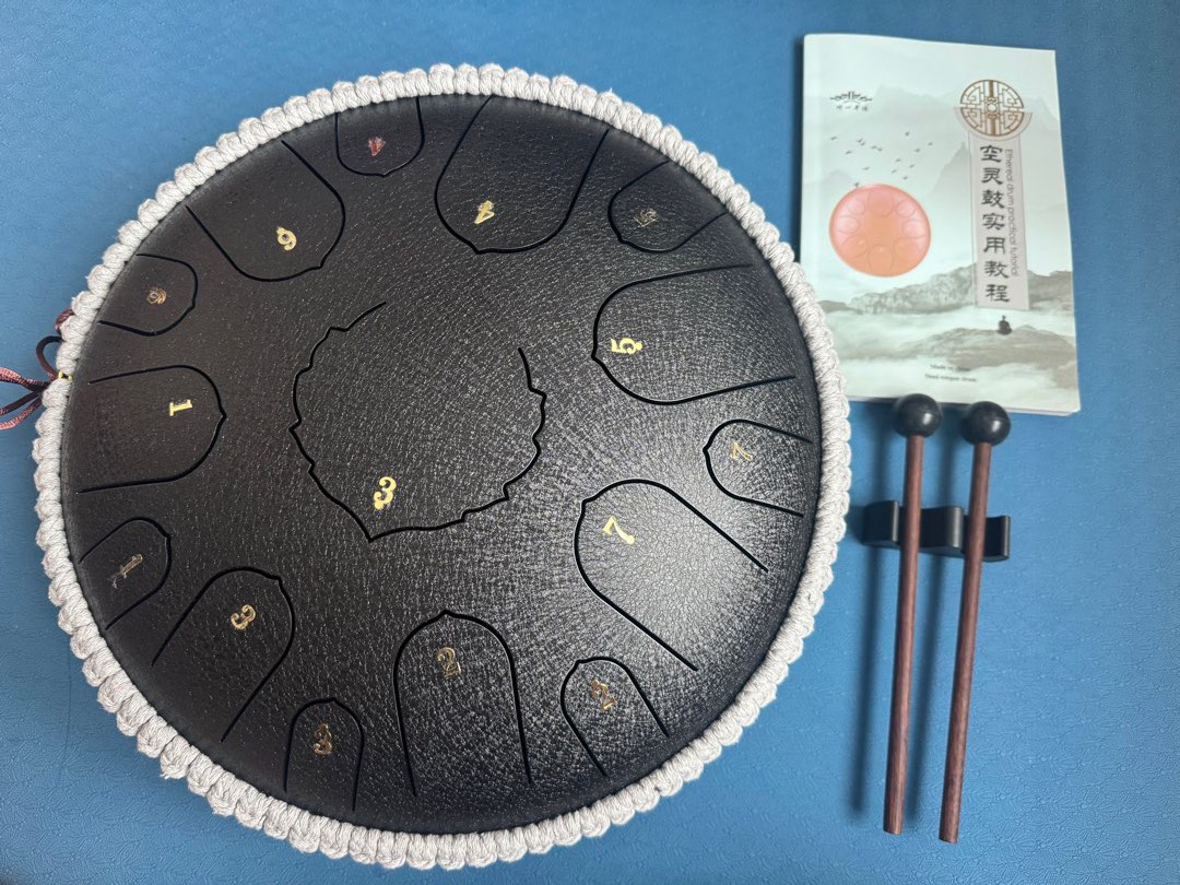 13 Inch Steel Tongue Drum, Hobbies & Toys, Musical Instruments on Carousell