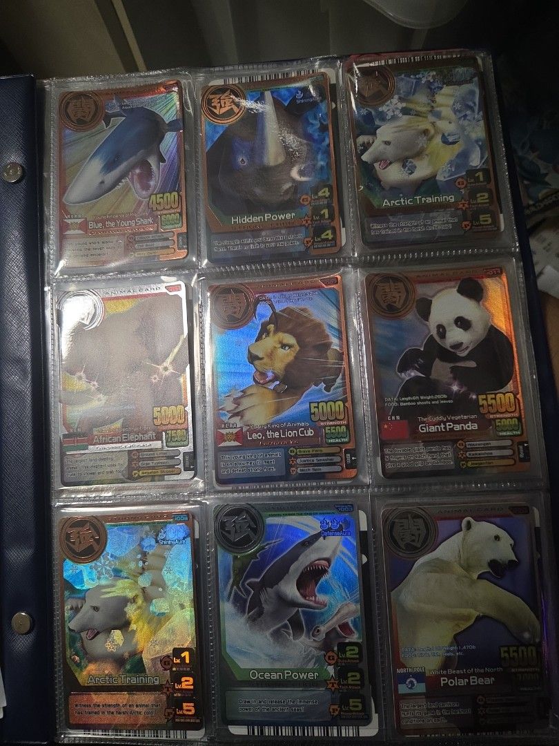 Animal Kaiser plus cards (2025), Hobbies & Toys, Toys & Games on Carousell