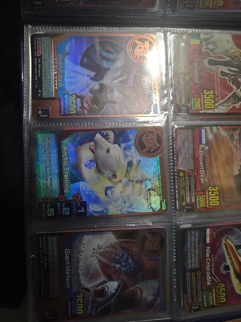 Animal Kaiser plus cards (2025), Hobbies & Toys, Toys & Games on Carousell